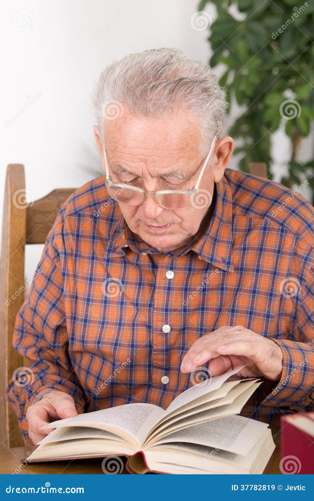 Reading book stock image. Image of person, elder, activity - 37782819