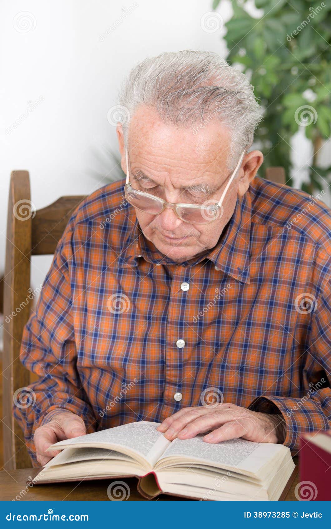 Reading book stock image. Image of books, older, literate - 38973285