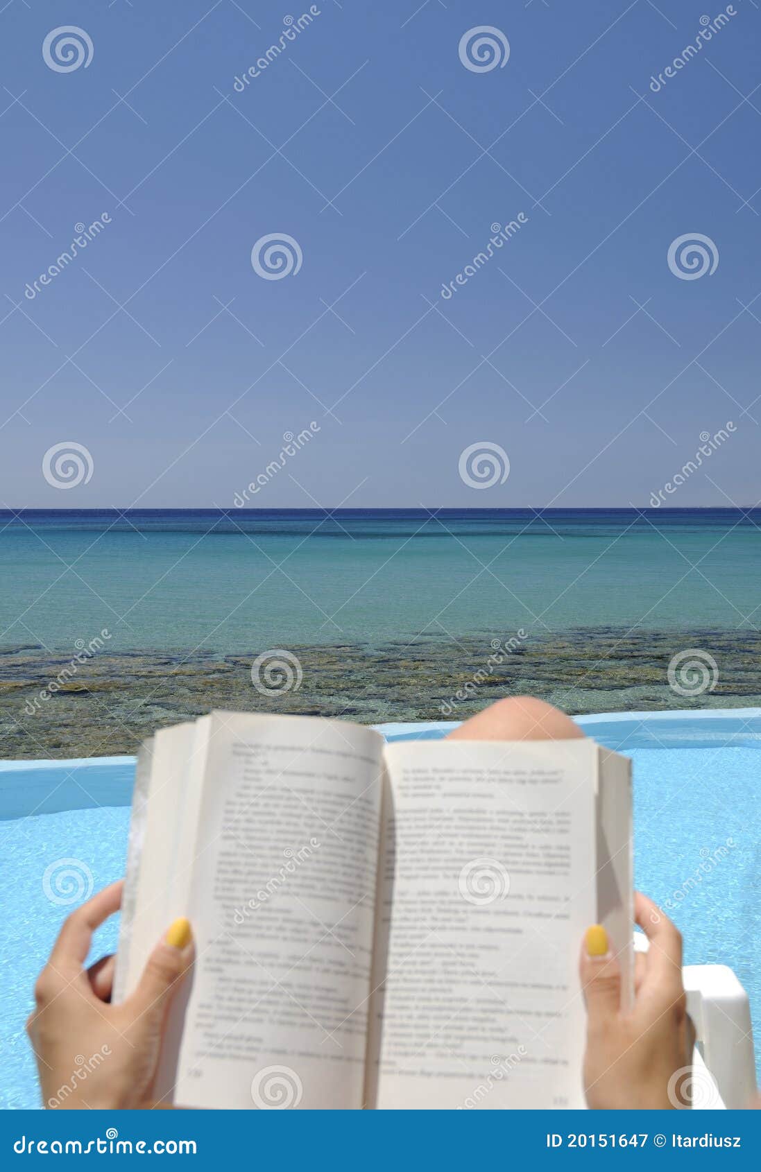 Reading a Book Over the Sea Stock Image - Image of read, copy: 20151647