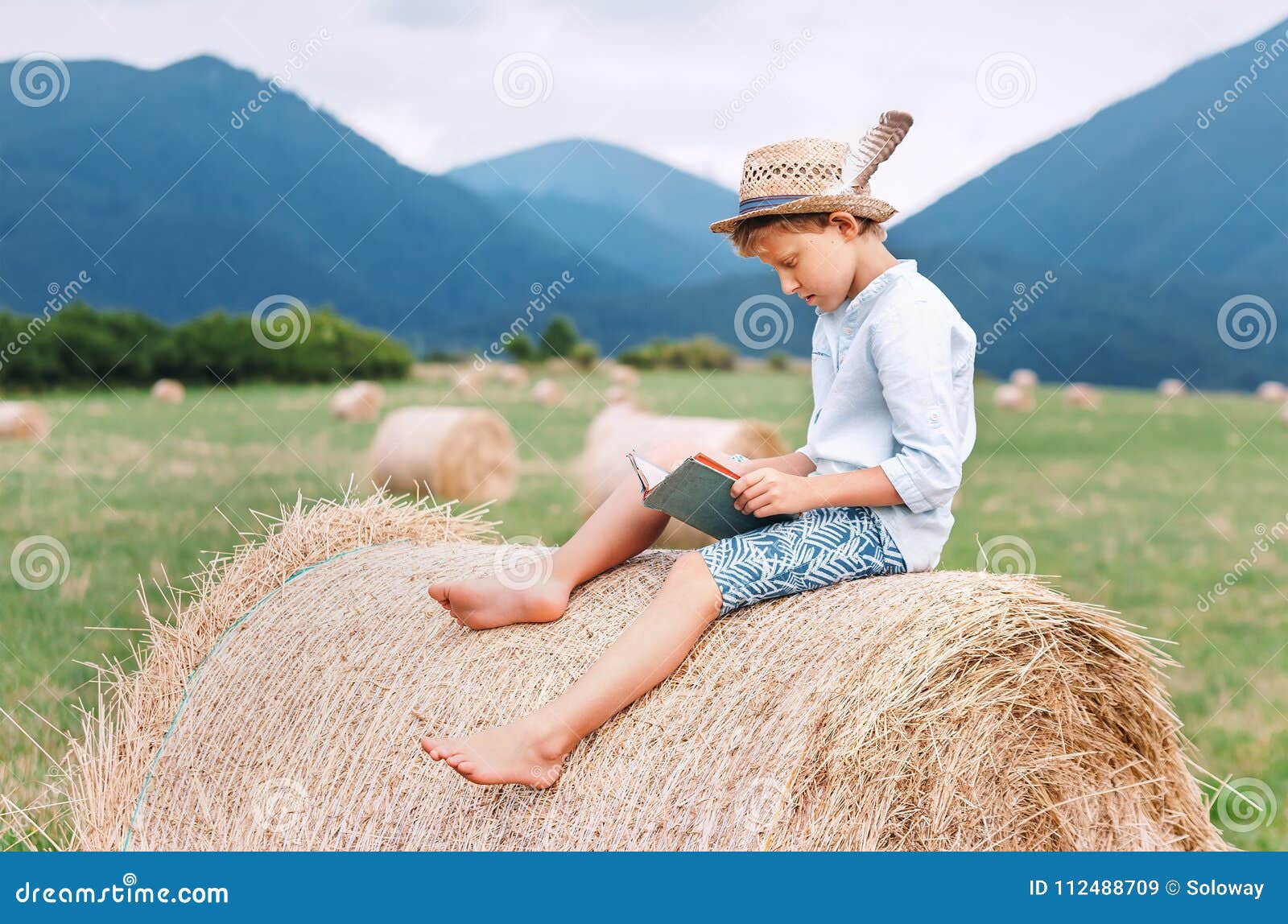 Reading Boy Sits Over the Haystack Roll on the Mountain Field in Stock ...