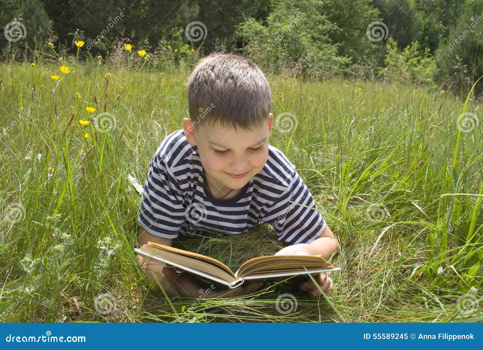 Reading boy stock image. Image of childhood, grass, meadow - 55589245