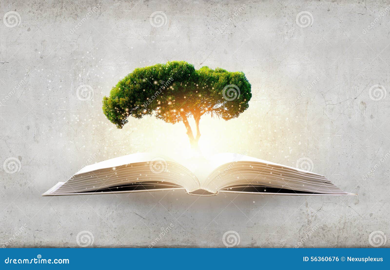 Reading Develops Imagination Stock Photo - Image of read, university ...