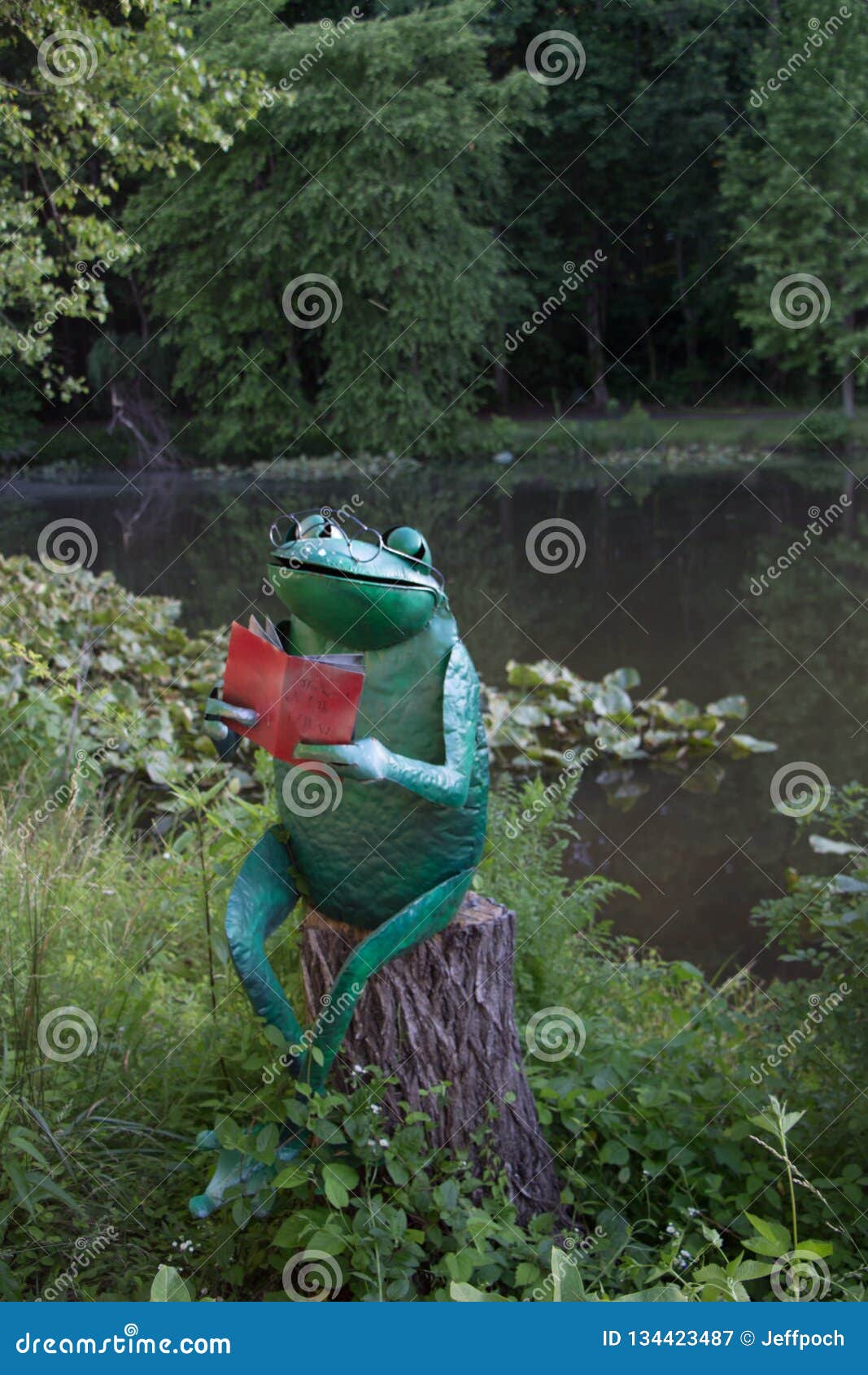 Reading Frog on Tree Stump stock image. Image of trees - 134423487