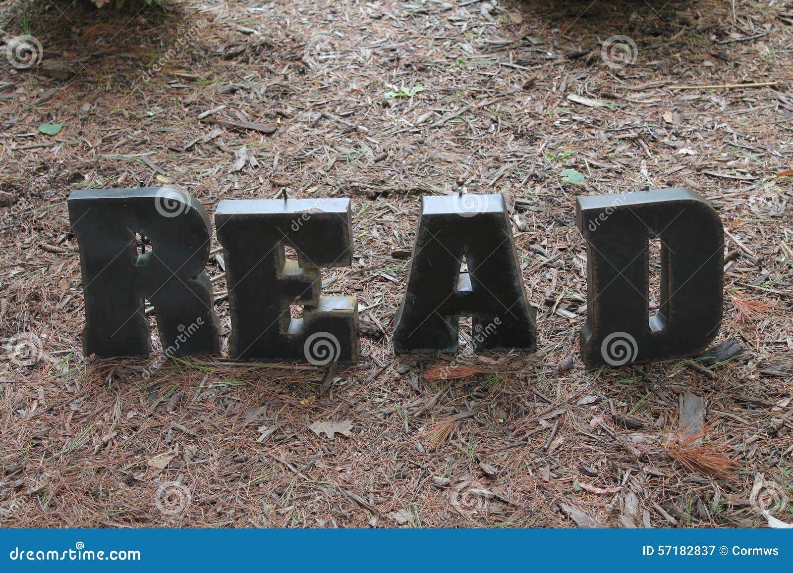 Reading is fun stock image. Image of bookcase, businessman - 57182837