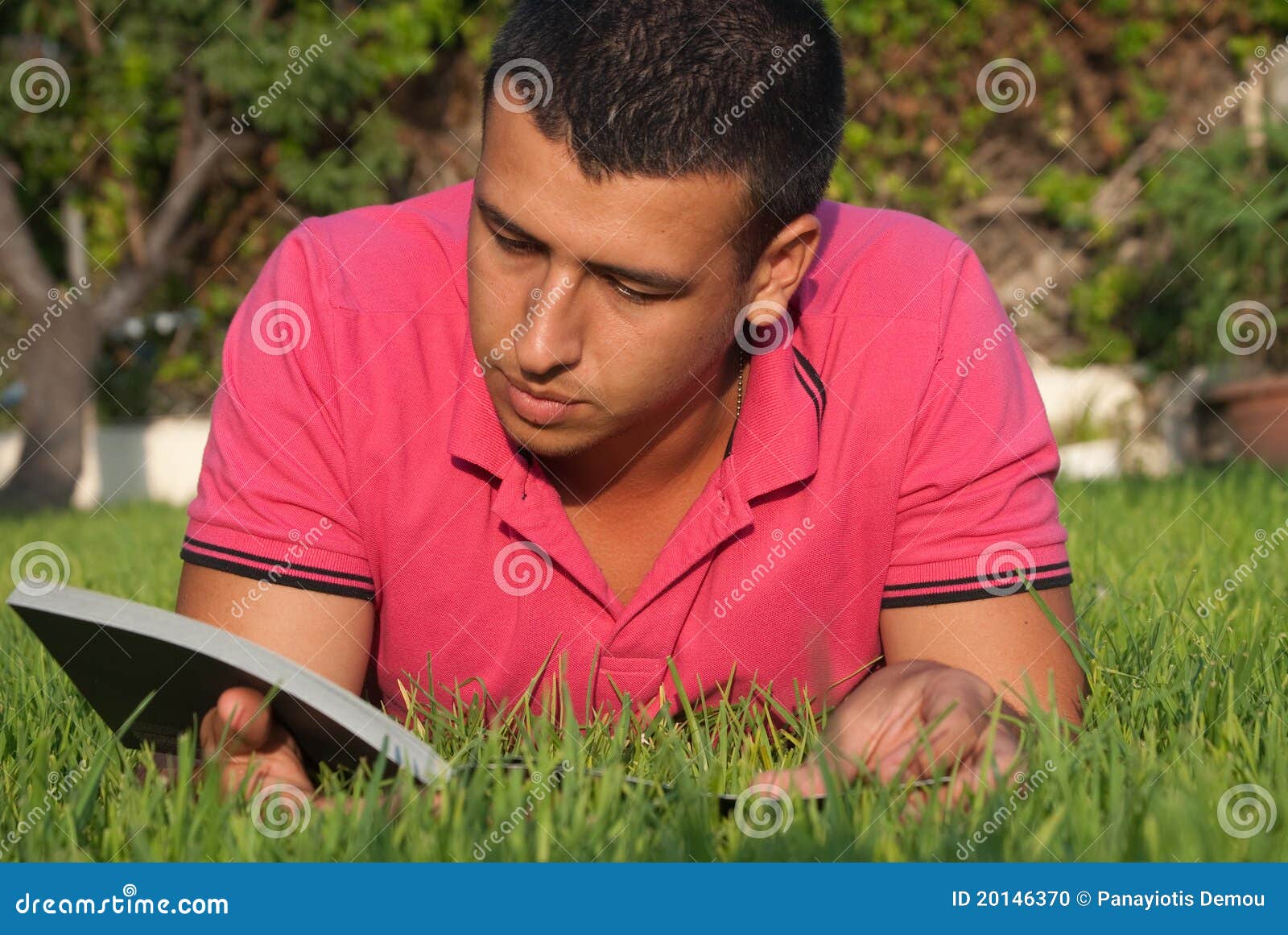 Reading in the grass stock photo. Image of young, cool - 20146370