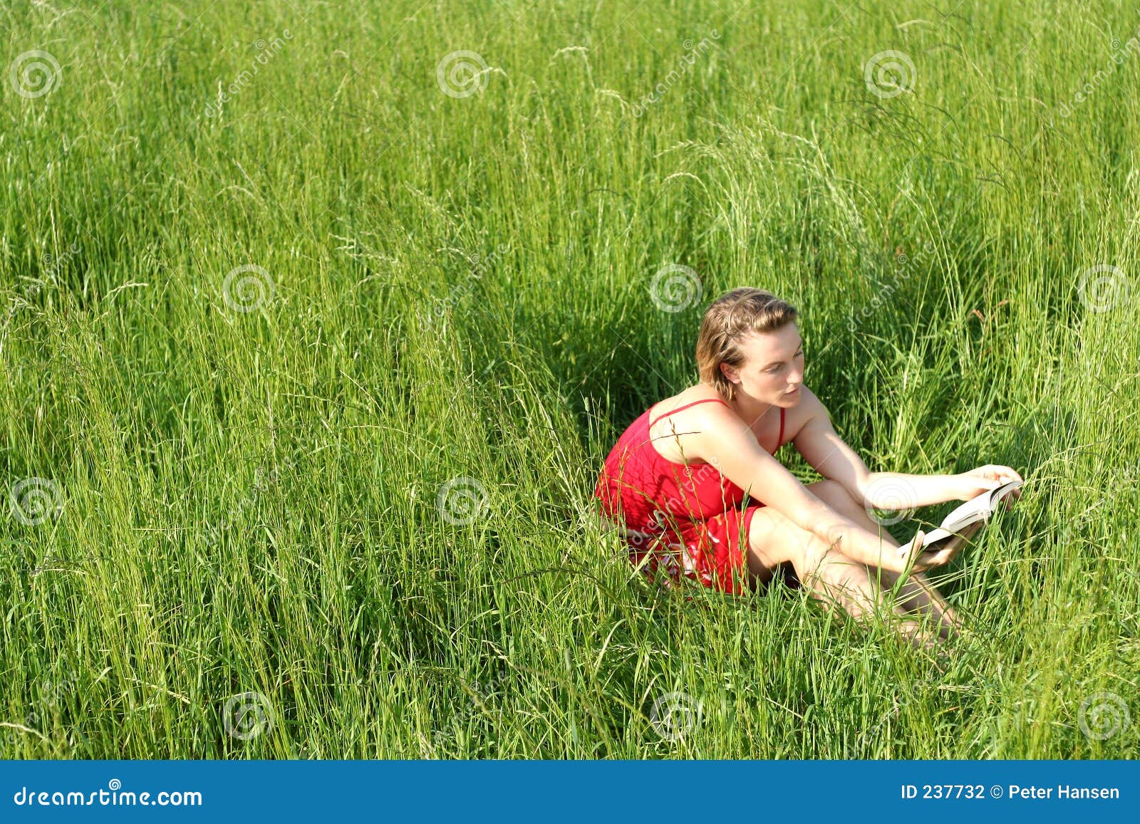 Reading in the grass II stock photo. Image of field, girl - 237732