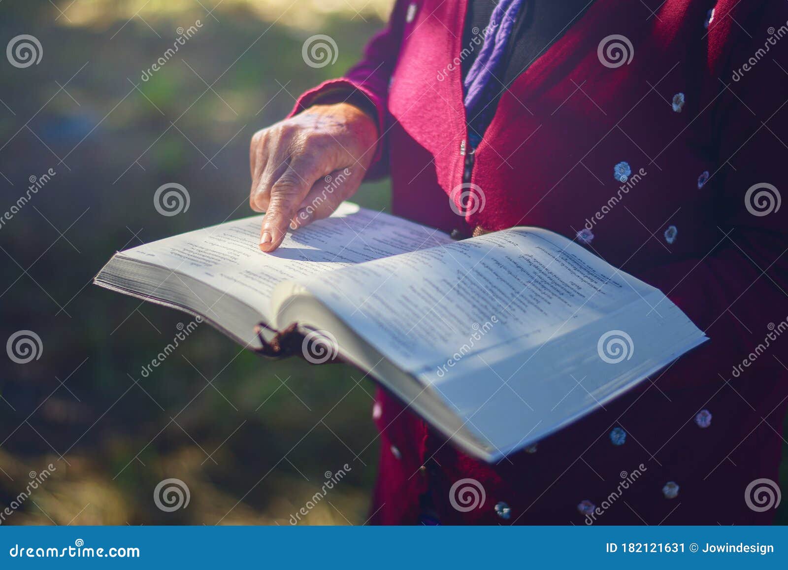 Reading the Holy Bible stock image. Image of praying - 182121631