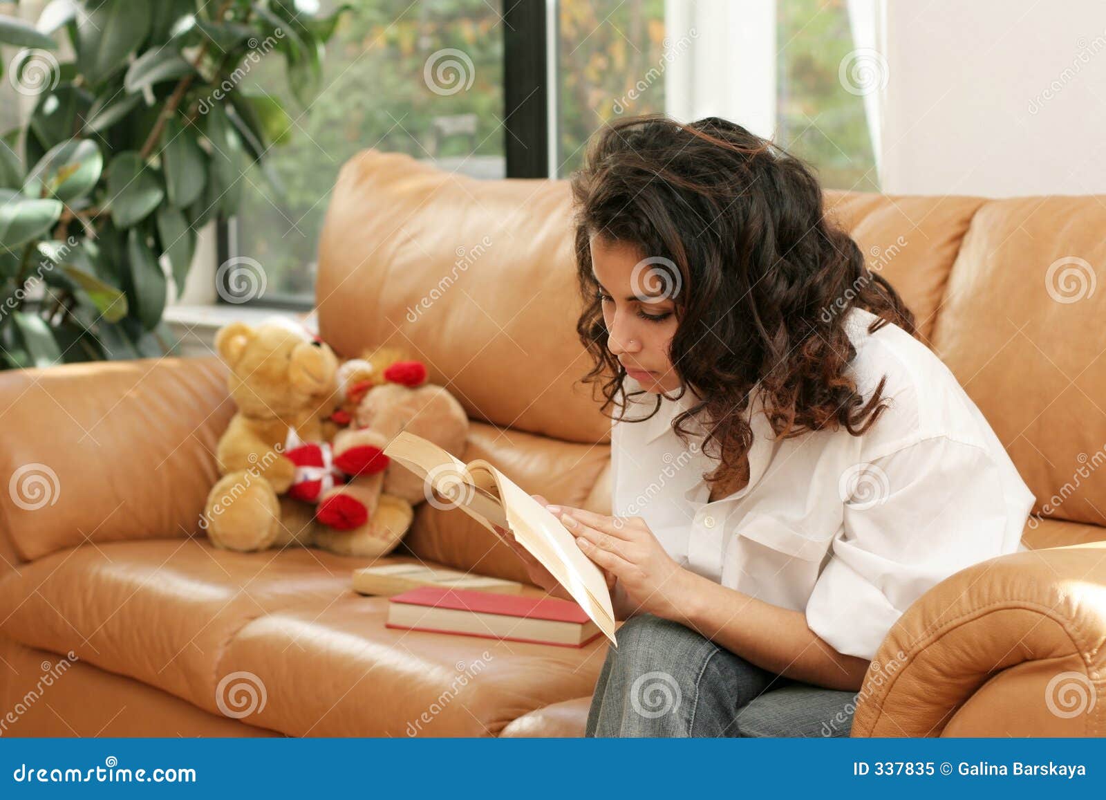 Reading at home stock image. Image of people, resting, room - 337835