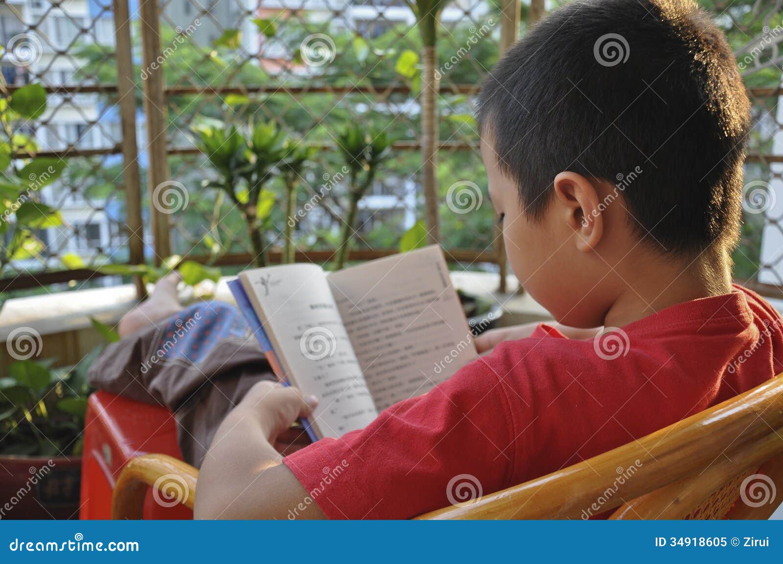 Reading, Learning, Read a Book Stock Image - Image of pretty, library ...