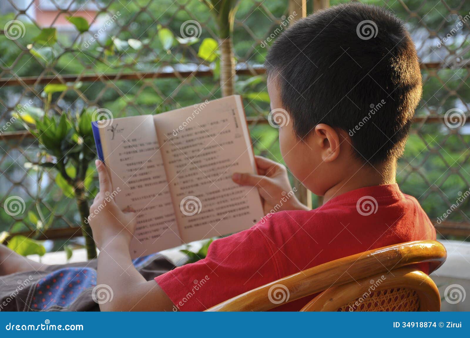 The Boy Is Learning To Read And Write . The Child Learns The Alphabet ...