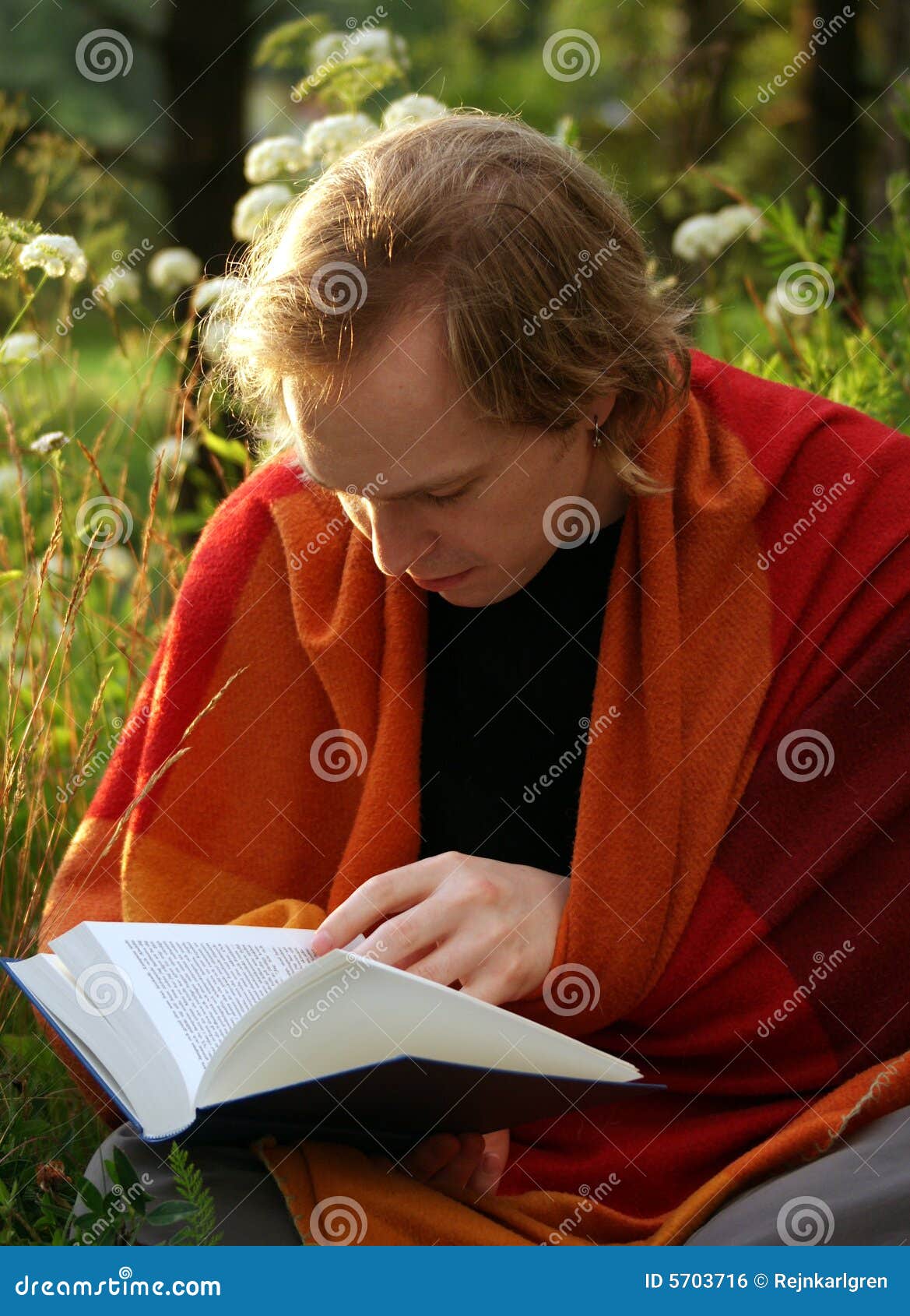 Reading man stock photo. Image of summer, book, sunset - 5703716