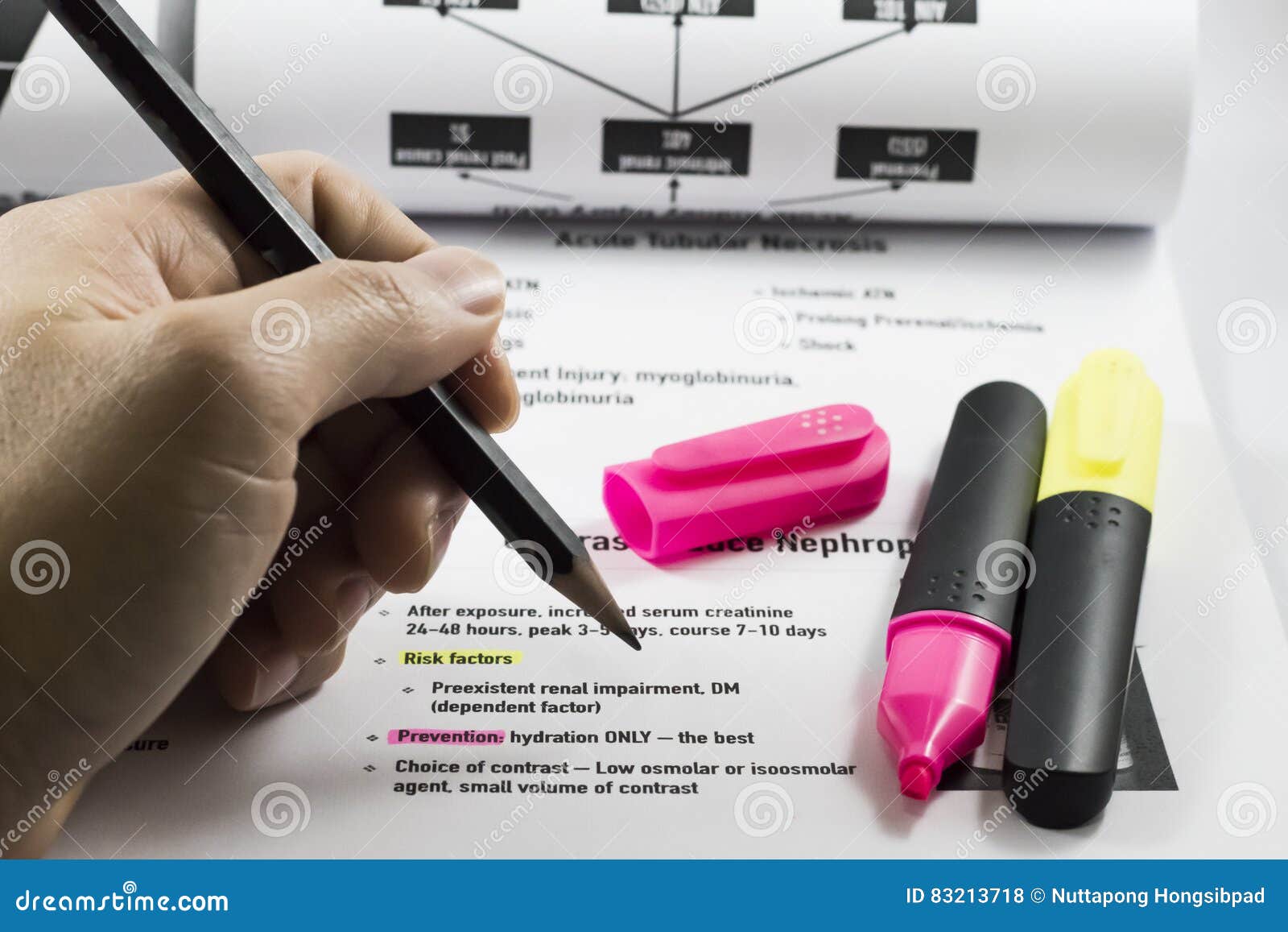 Reading and marking. stock photo. Image of read, color - 83213718