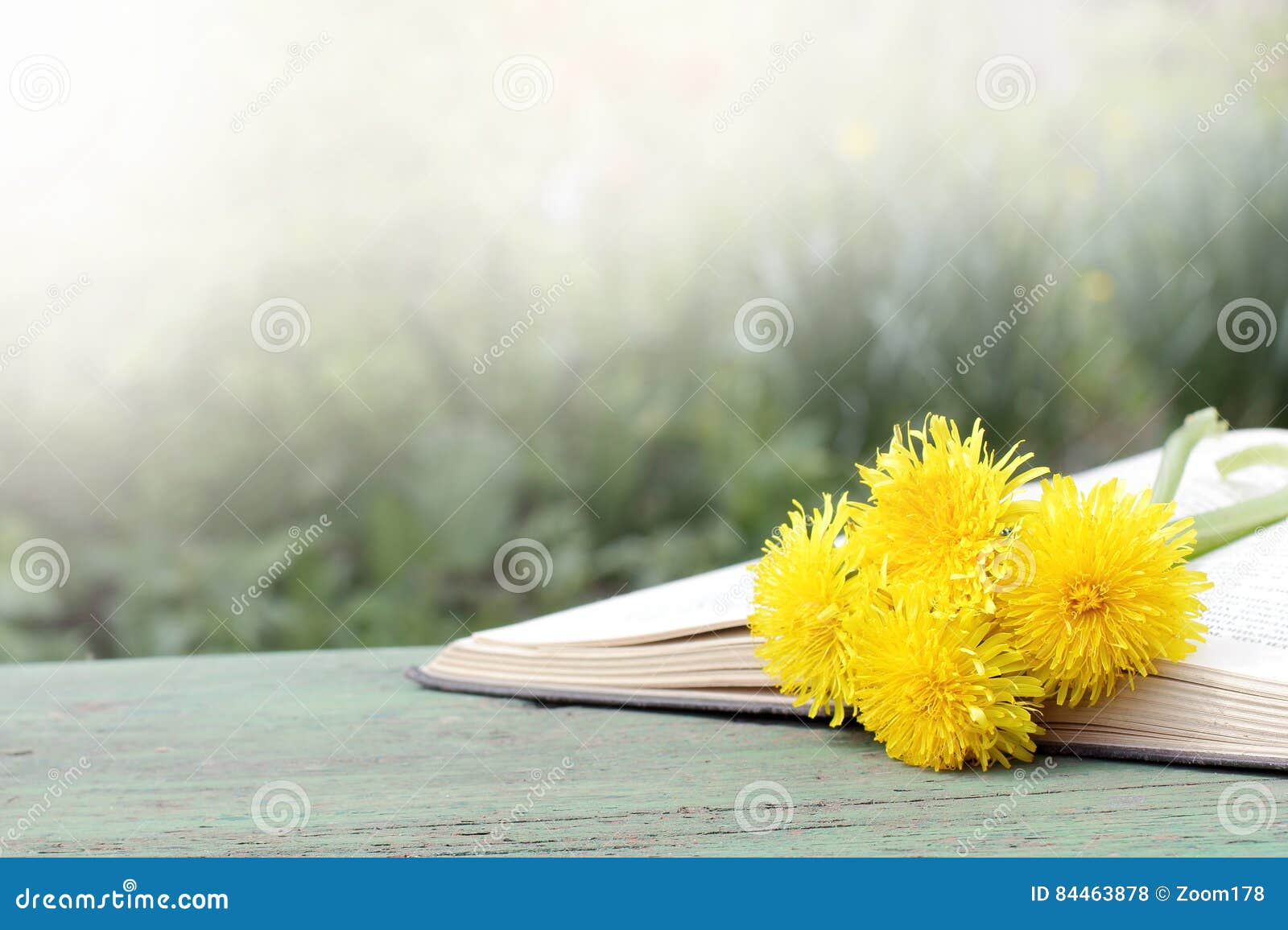 Reading on Nature in Spring Stock Photo - Image of summer, pastime ...