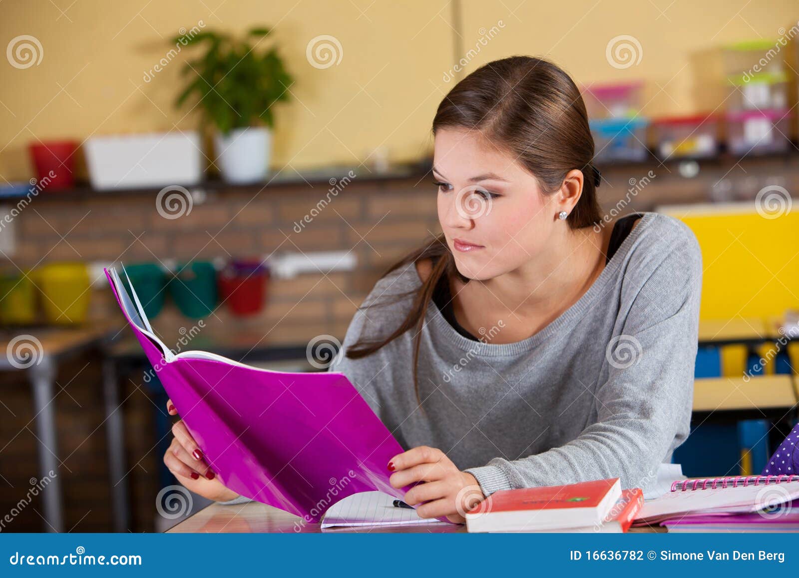 Reading notes stock photo. Image of beauty, female, lesson - 16636782