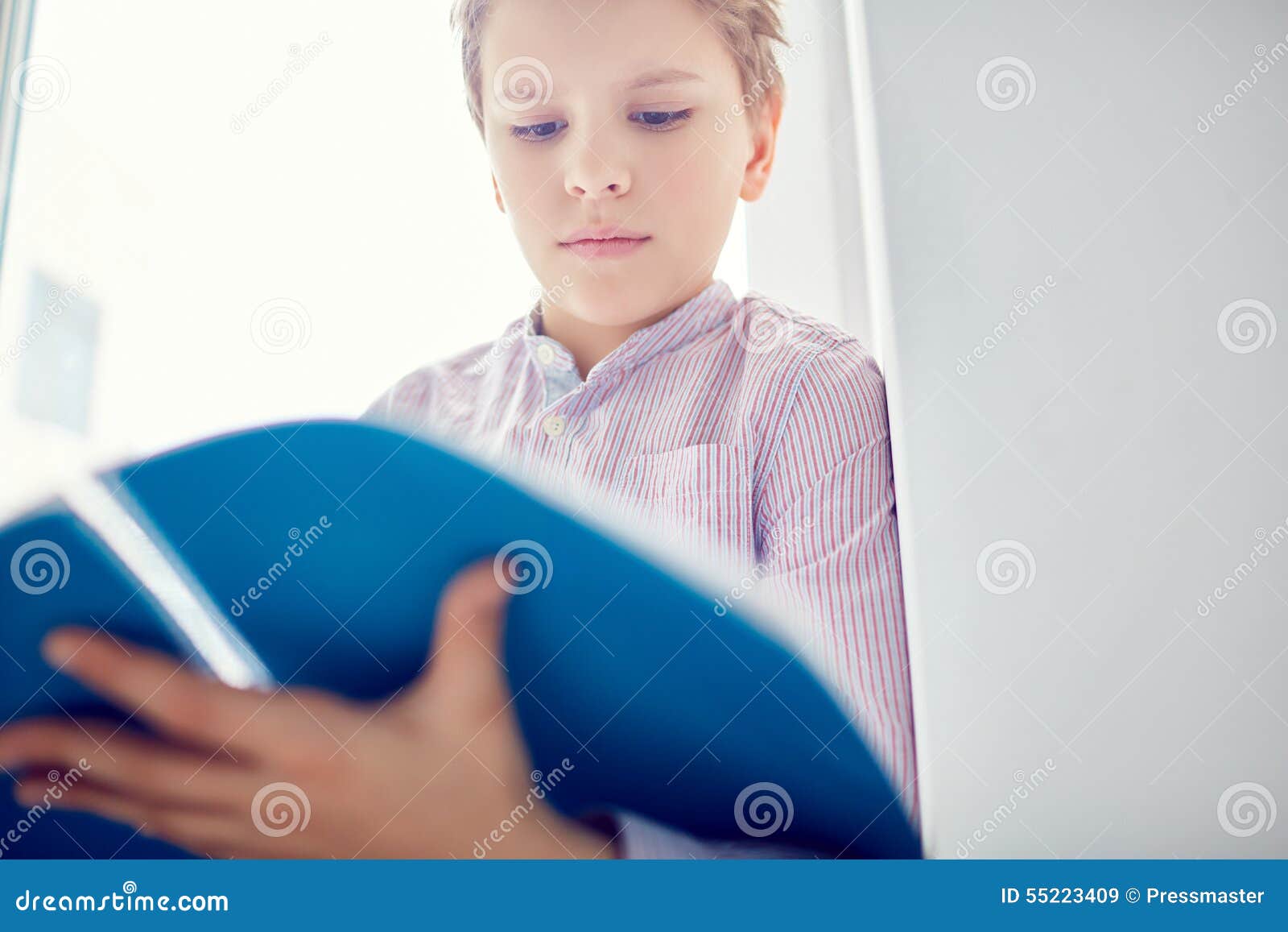 Reading notes stock image. Image of clever, study, handsome - 55223409