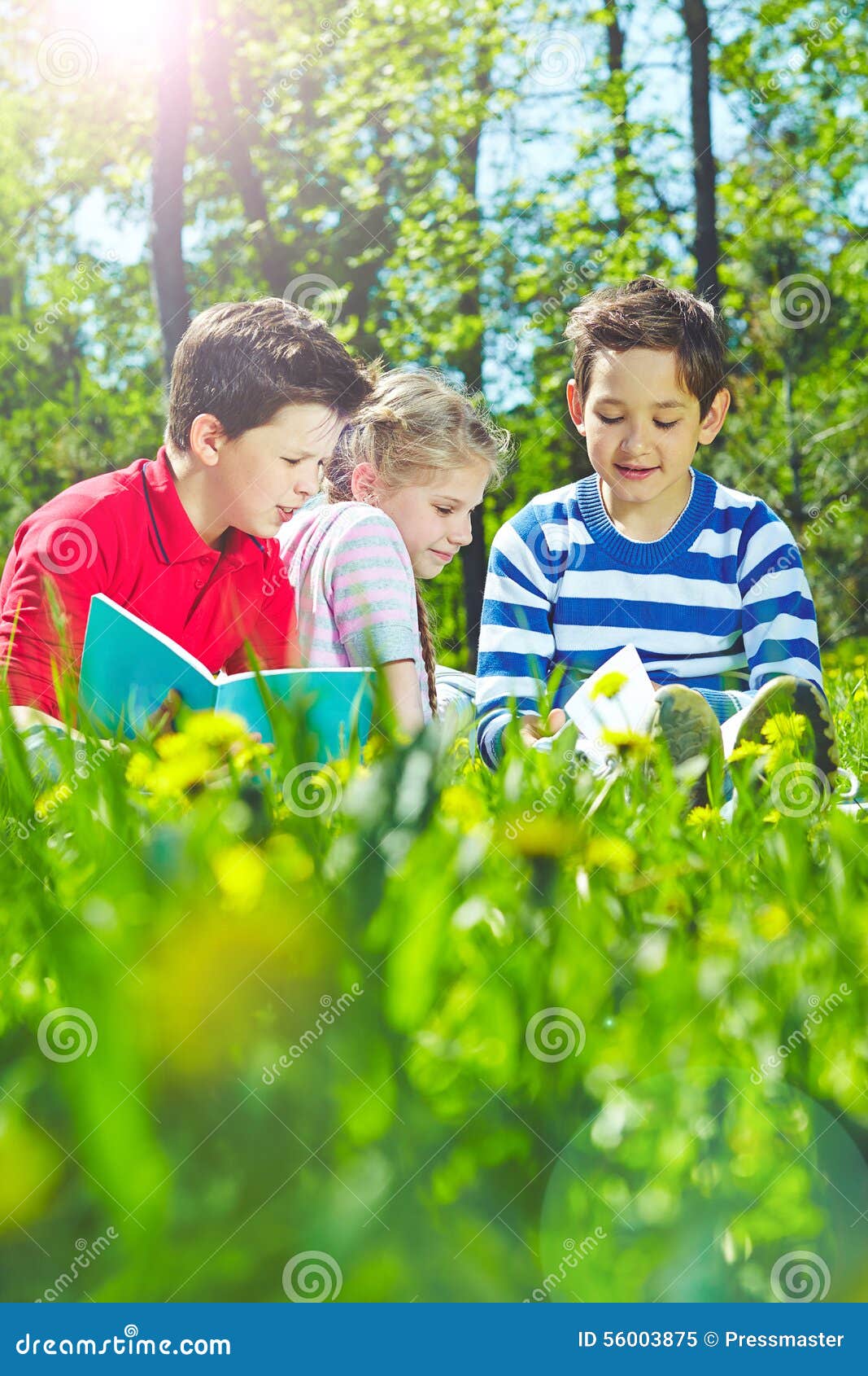 Reading outside stock image. Image of reading, book, grass - 56003875