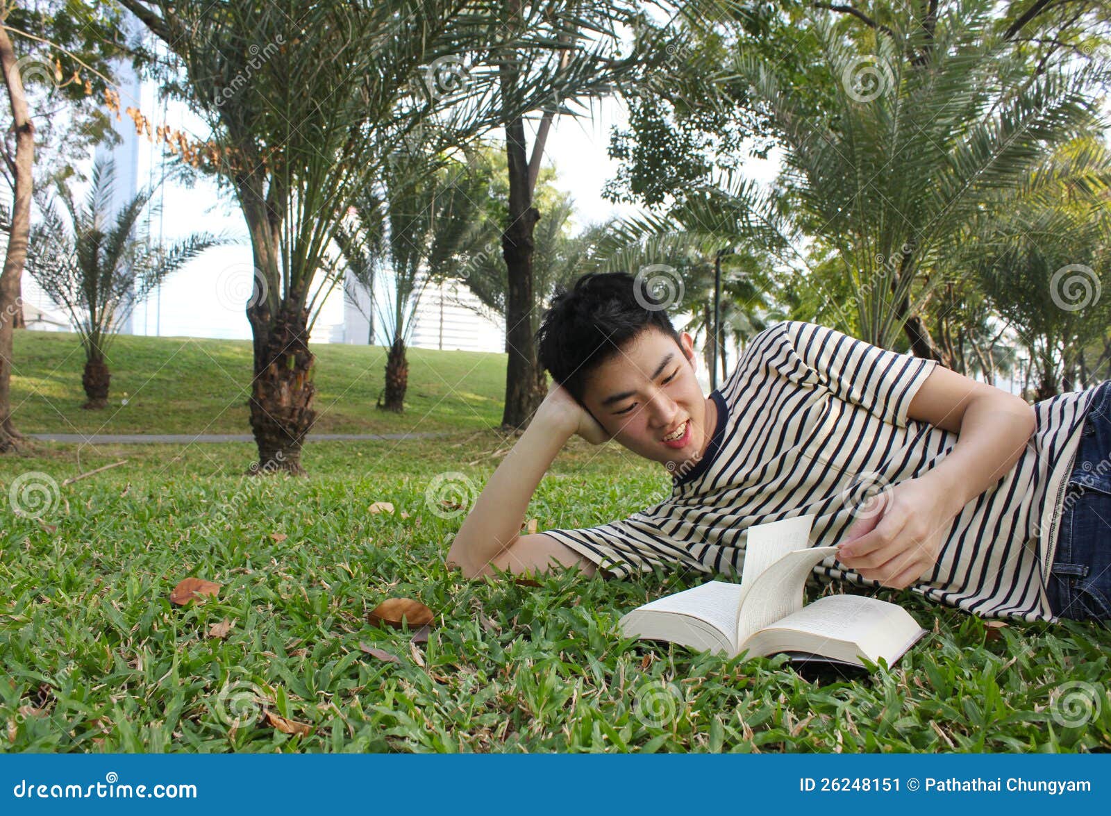 Reading in the park stock image. Image of sitting, nature - 26248151