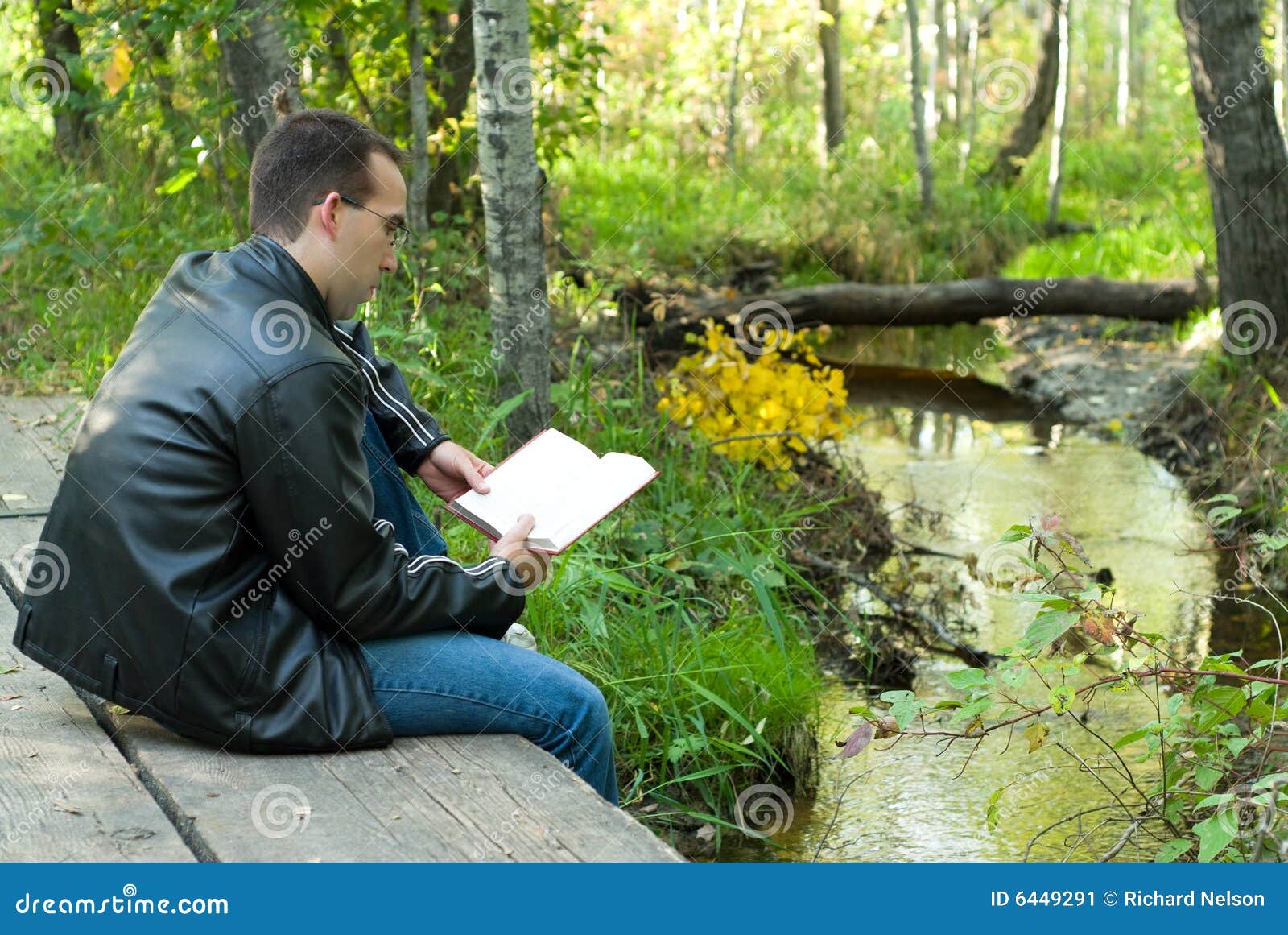 Reading in Peace stock image. Image of recreational, park - 6449291
