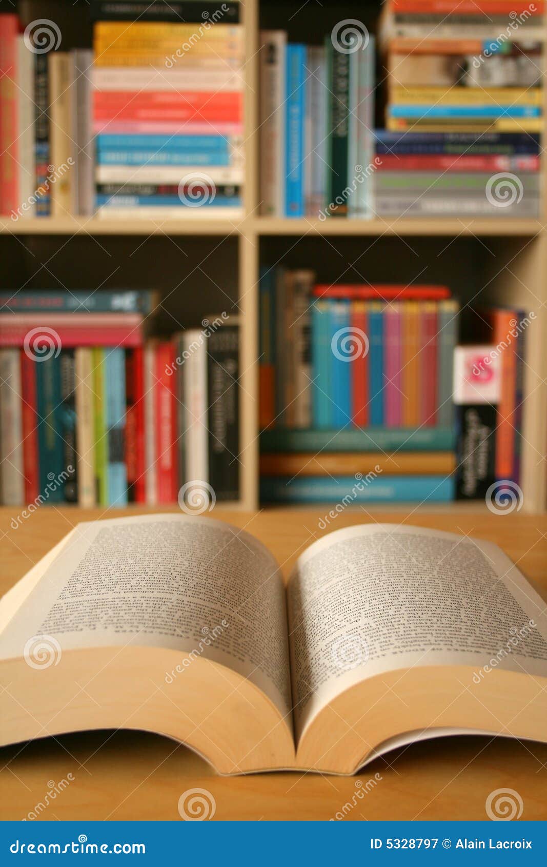 Reading quietly stock image. Image of gather, calm, design - 5328797