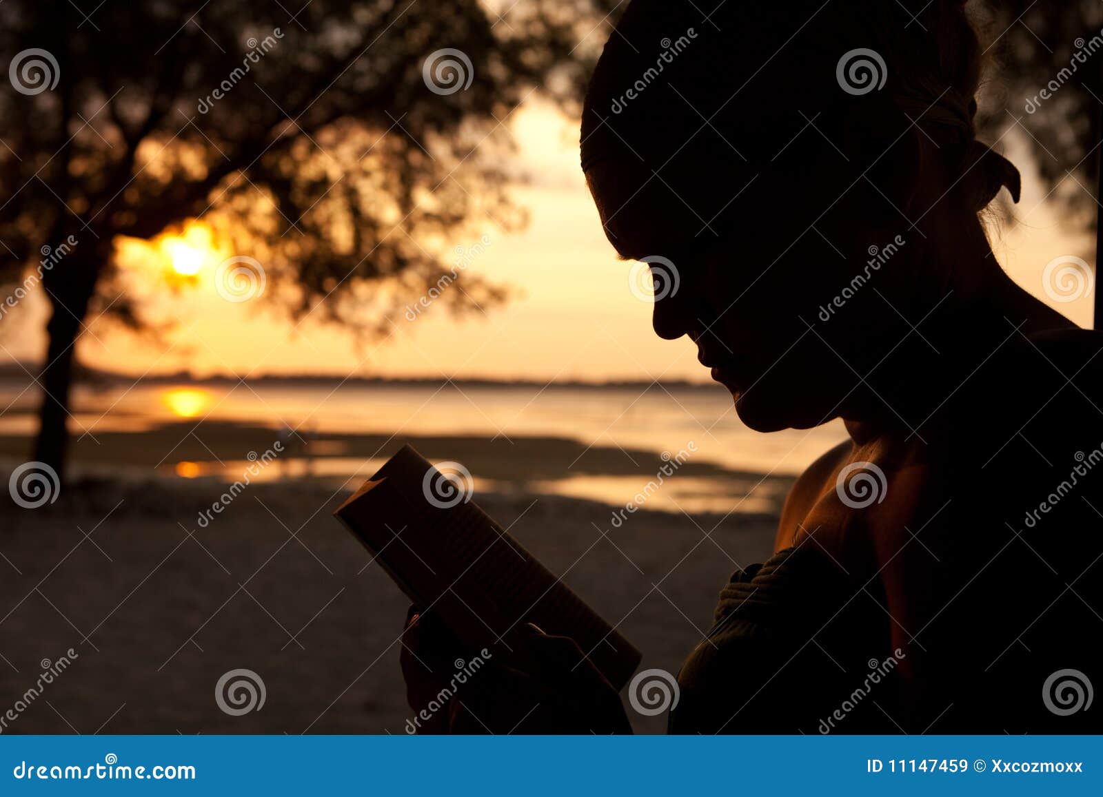 Reading in the sunset stock image. Image of seascape - 11147459