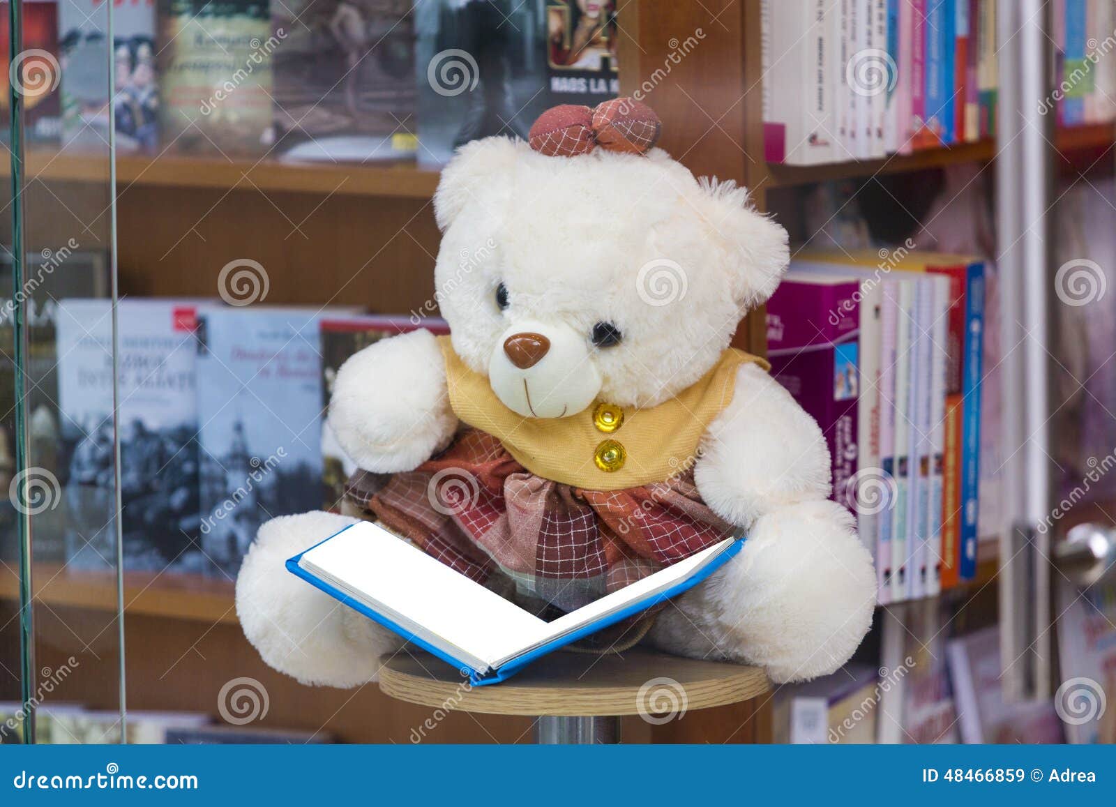 Girl Teddy Bear Reading a Childhood Book Stock Image - Image of doll ...