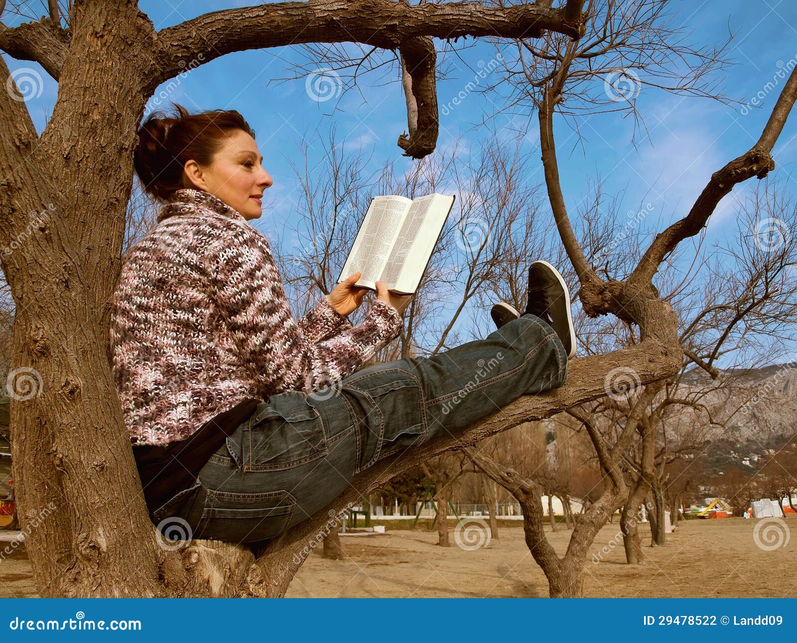 Reading in a tree stock photo. Image of happy, education - 29478522