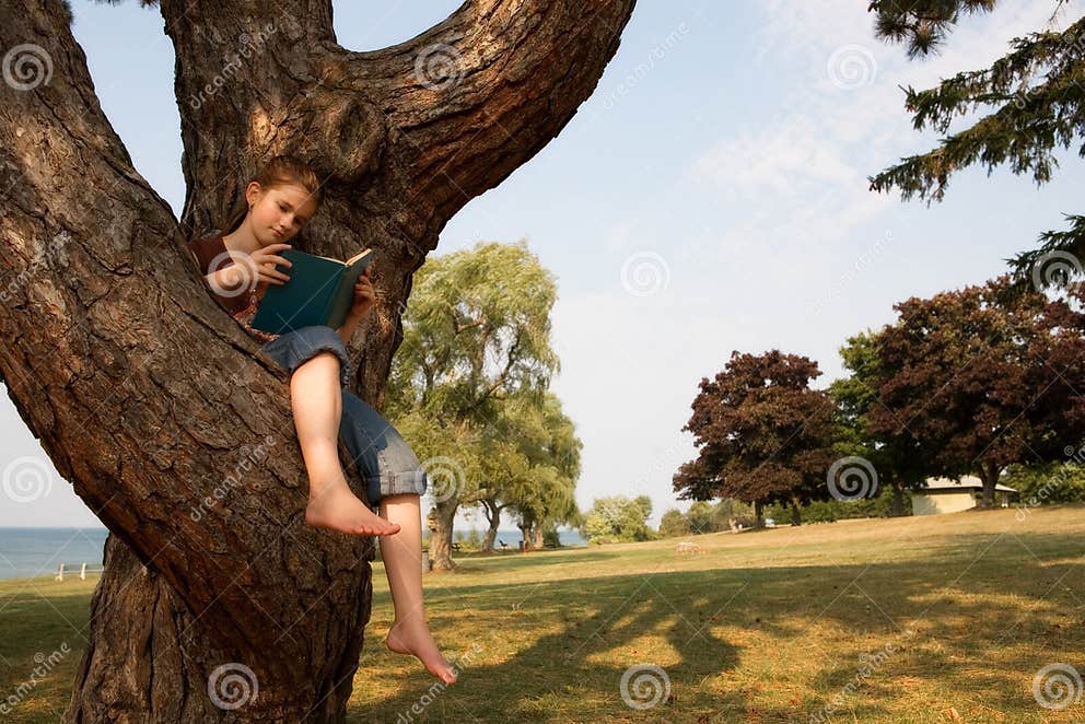Reading in a Tree stock image. Image of sunlight, jeans - 3357153
