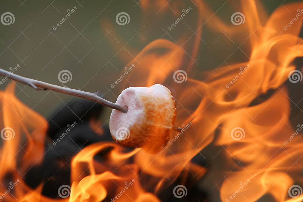 About ready stock photo. Image of people, cookout, night - 1034742