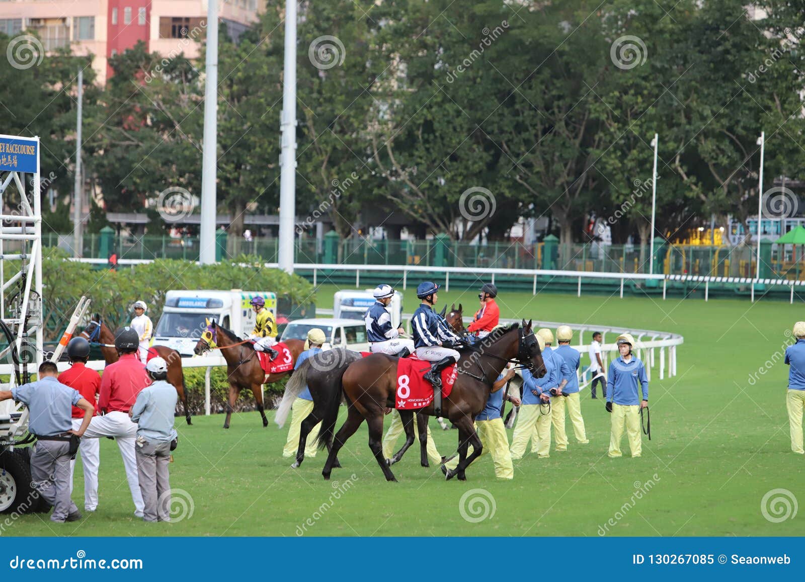 Ready of the Horse Racing at Gate Editorial Image - Image of racecourse ...