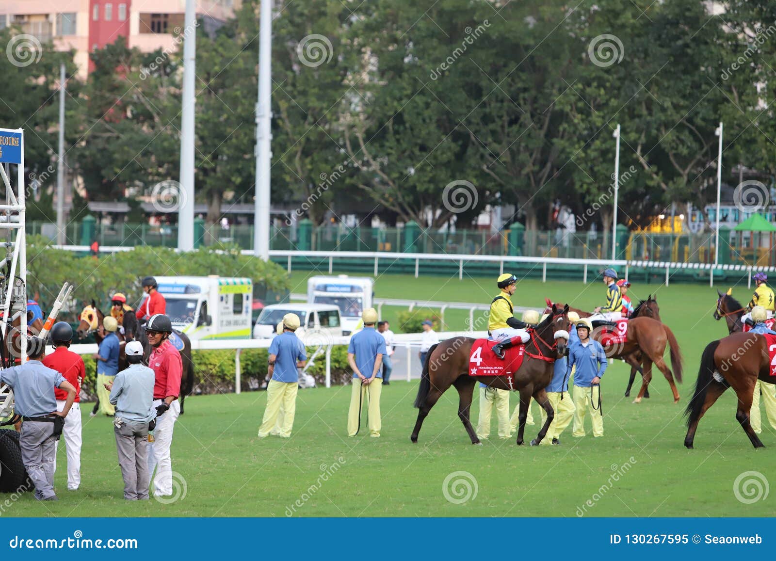 Ready of the Horse Racing at Gate Editorial Image - Image of green ...
