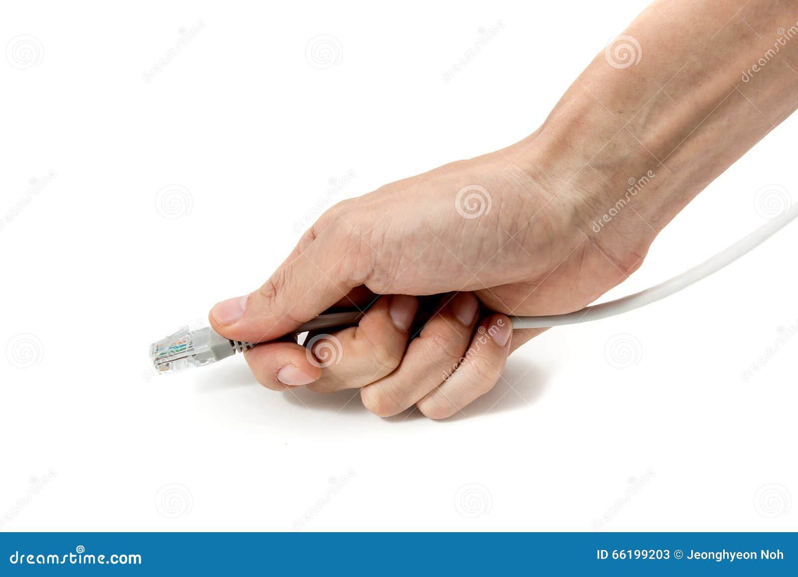 Ready-made LAN Cable on it Professional Hand Stock Image - Image of ...