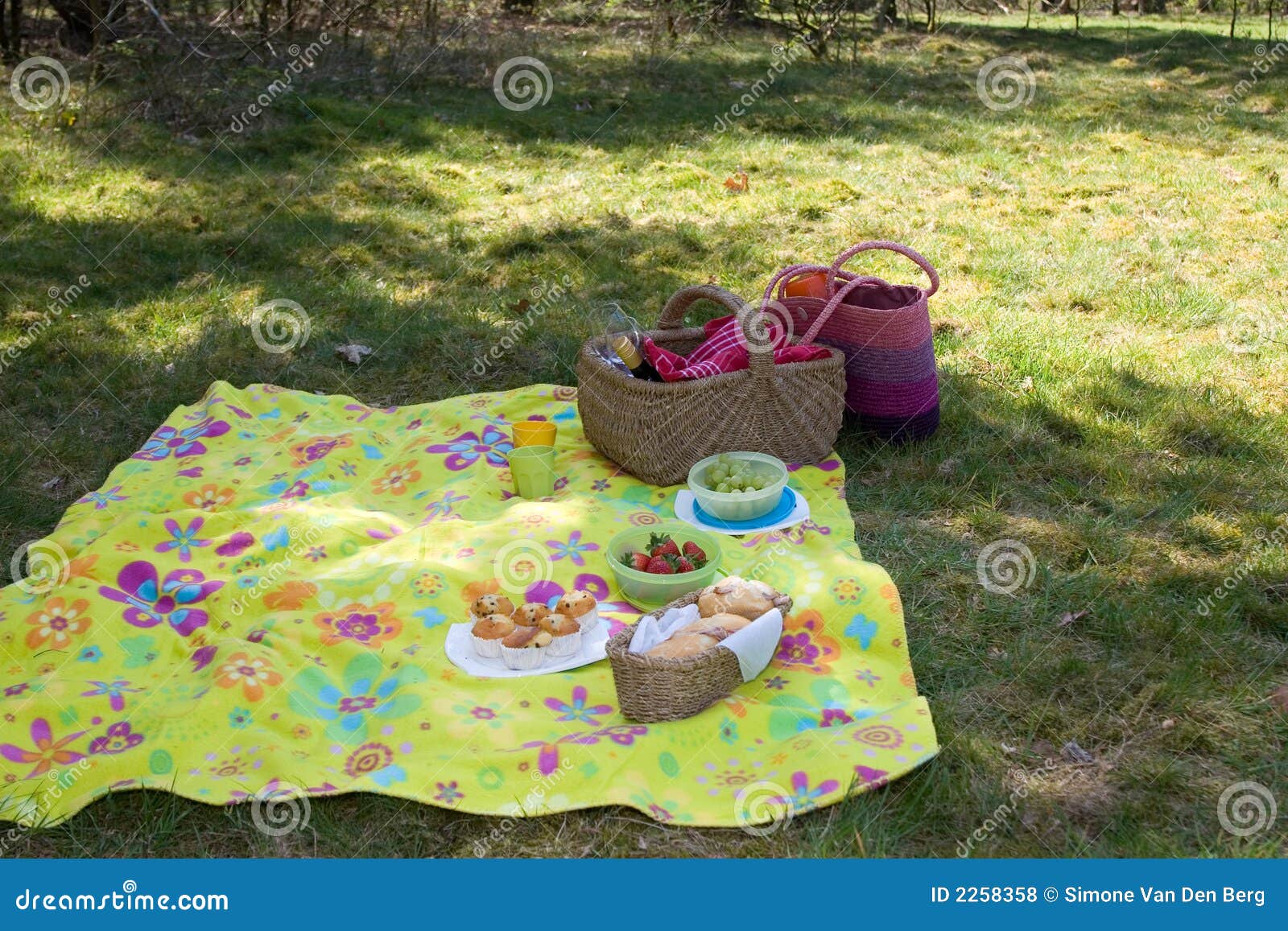 Ready for the picnic stock photo. Image of strawberries - 2258358