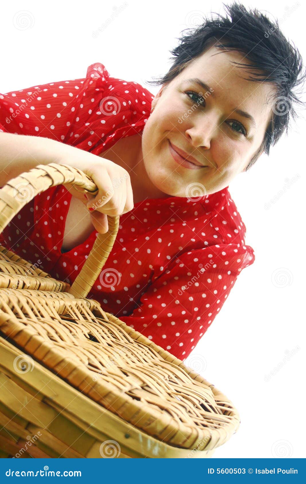 Ready for the picnic stock image. Image of basket, leisure - 5600503