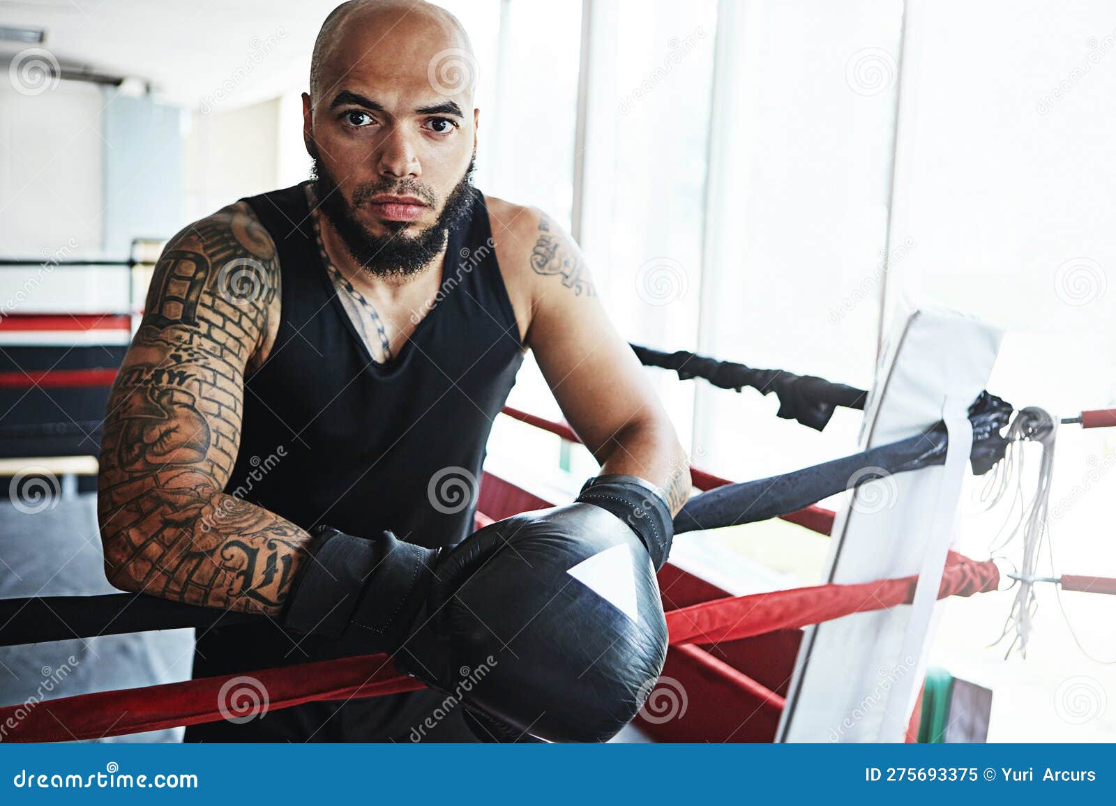 Always Ready. Portrait of a Young Man Training in a Boxing Ring. Stock ...