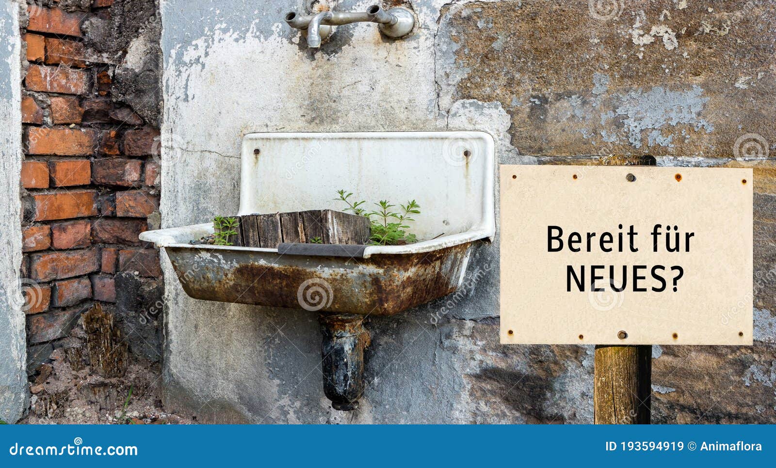 One No Something Sign Short Of Perfection Forest Trees Royalty-Free ...