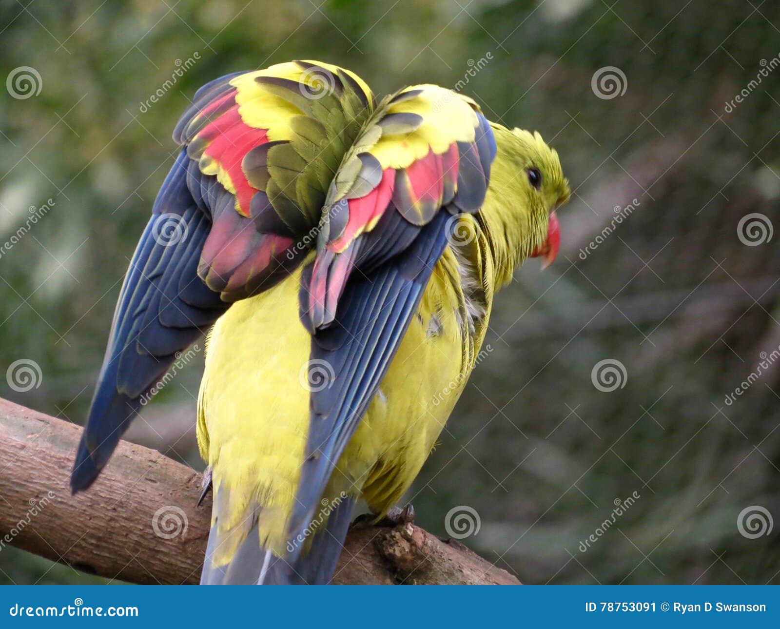 Ready for takeoff stock image. Image of lift, pretty - 78753091