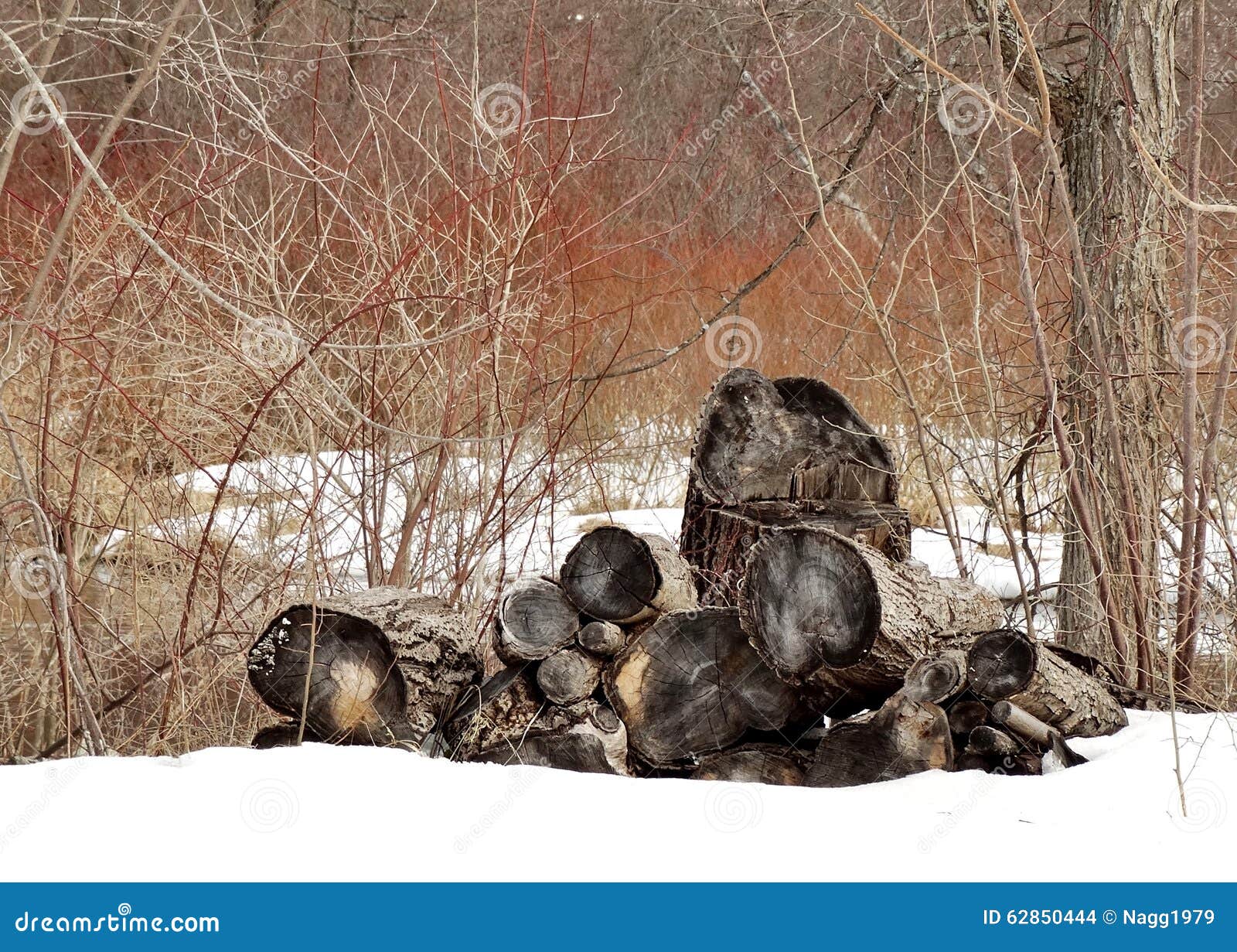 Ready to burn stock photo. Image of snow, snowy, burn - 62850444
