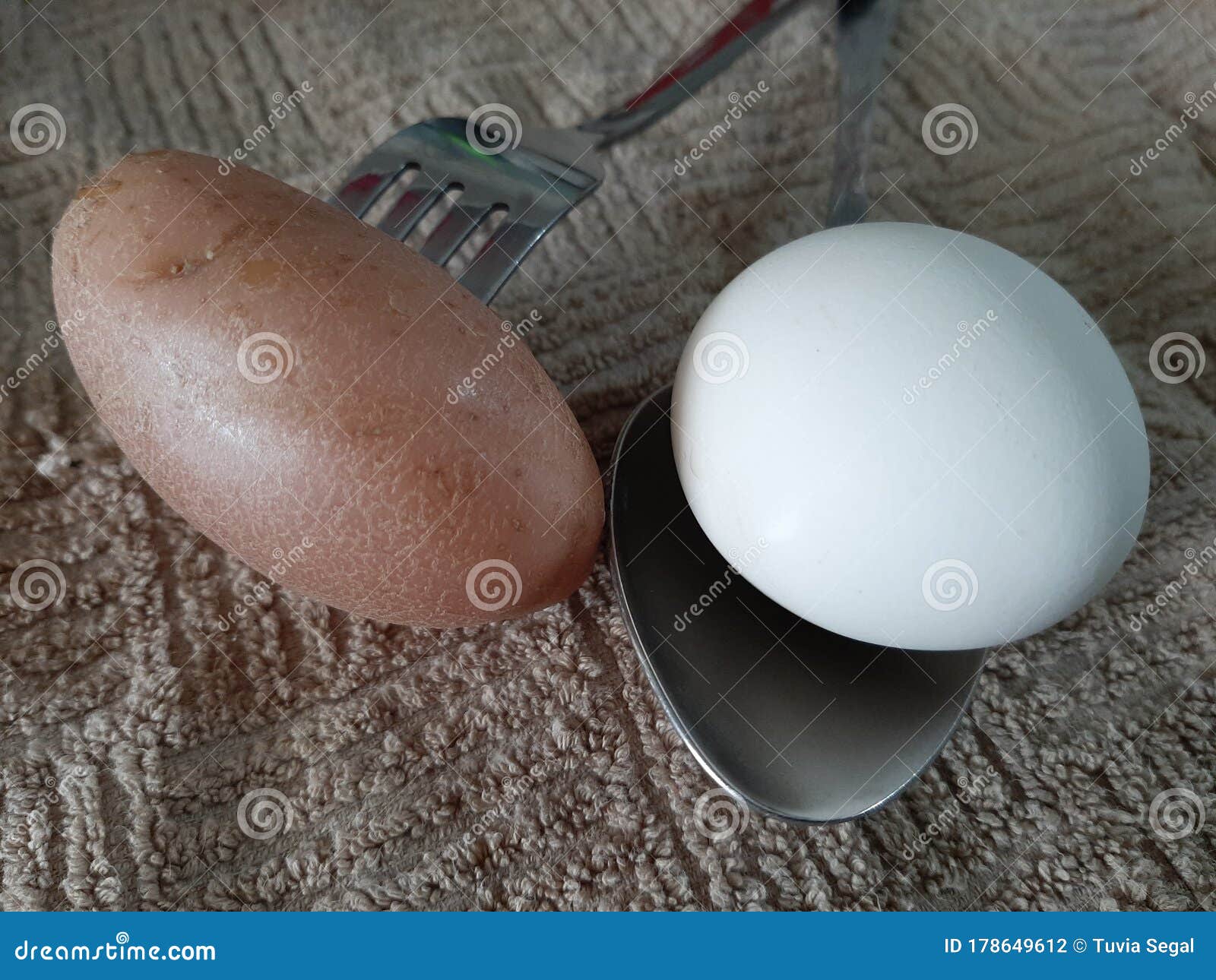 Ready To Eat for Breakfast Supper Lunch and Branch Stock Photo - Image ...