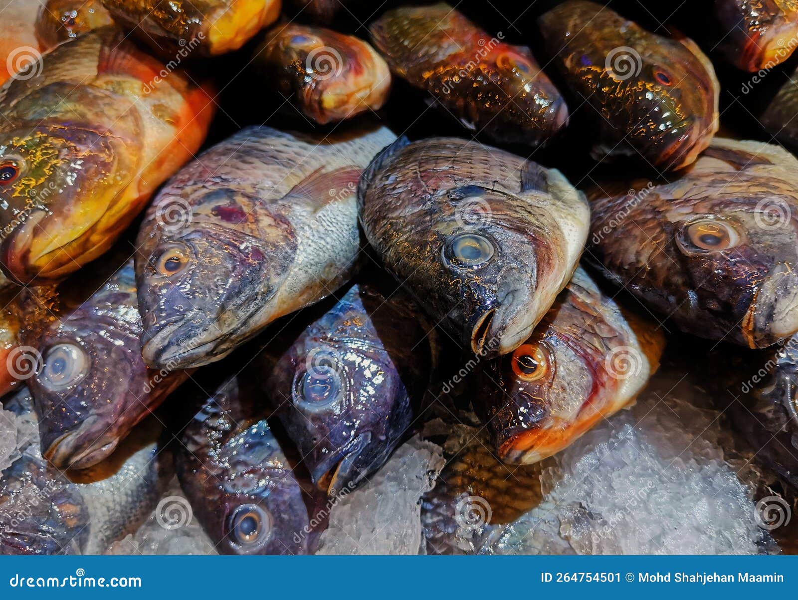 Foods and objects stock image. Image of fresh, cool - 264754501