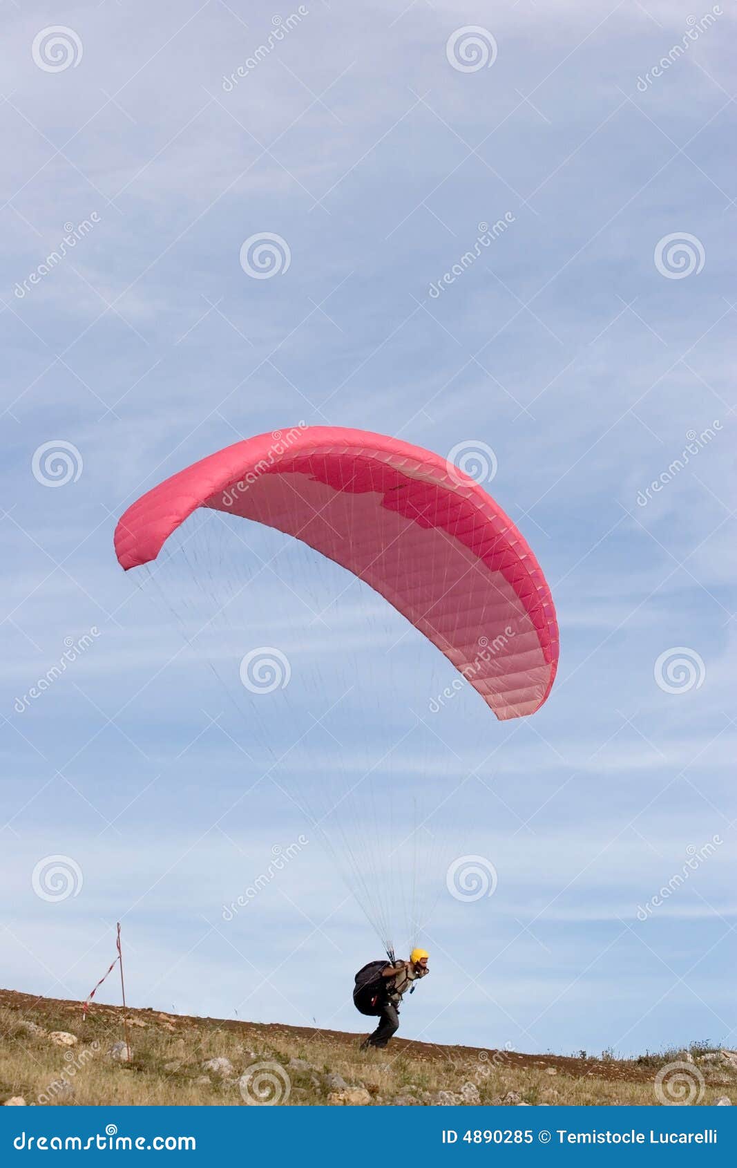 Ready to fly stock image. Image of flying, leisure, sport - 4890285