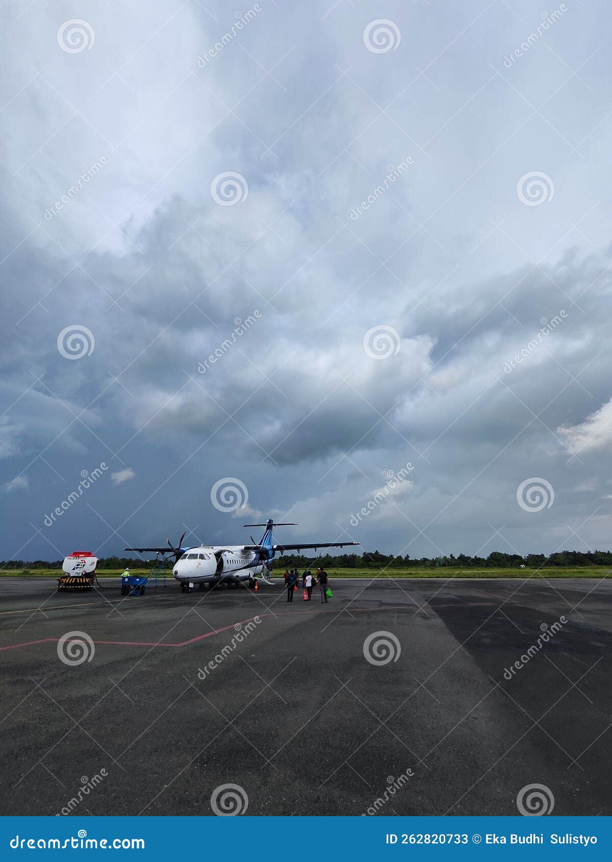 Ready to fly stock image. Image of plane, ready, reach - 262820733