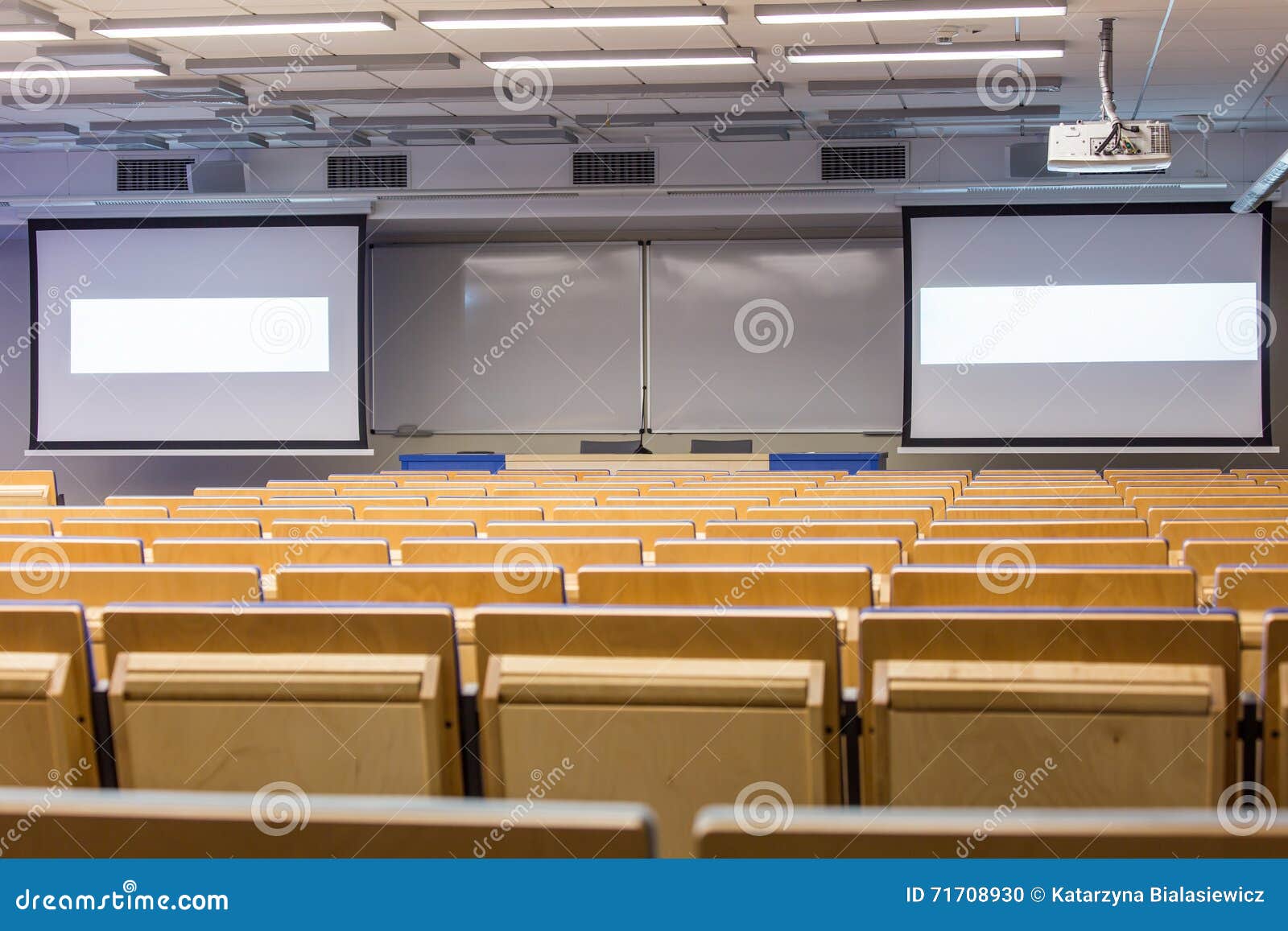Ready To Host a Professional Presentation Stock Photo - Image of ...