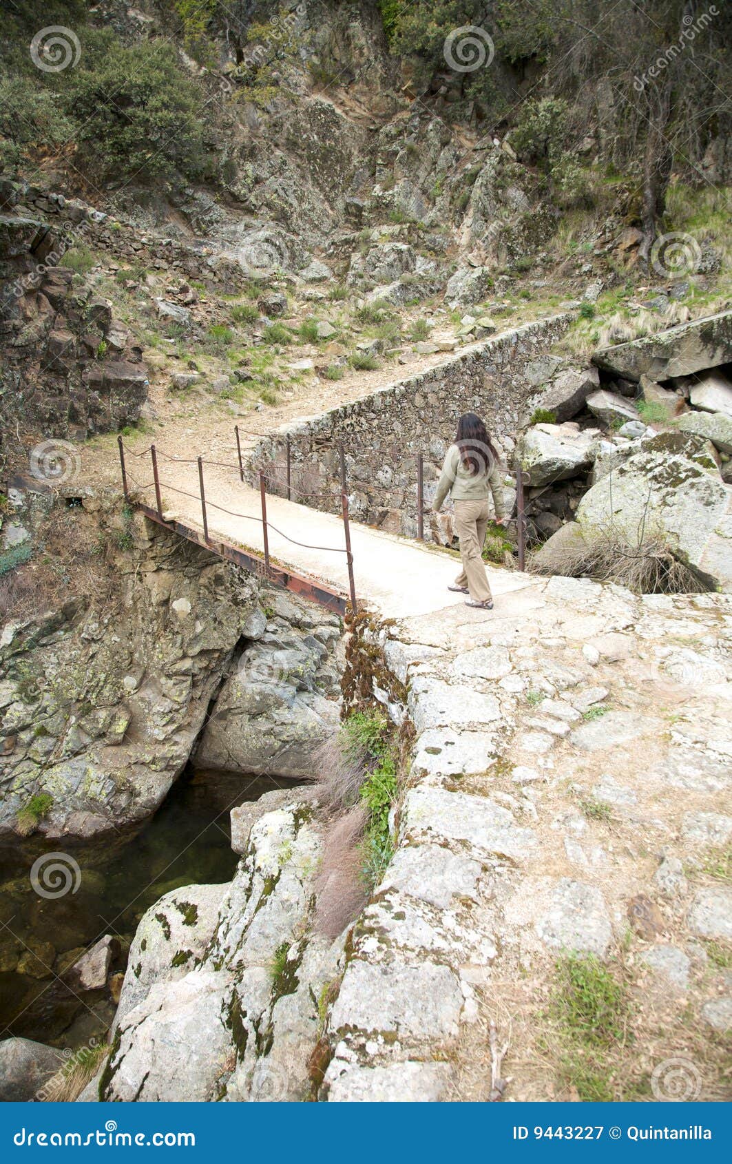 Ready to pass the bridge stock image. Image of girl, crosspaths - 9443227