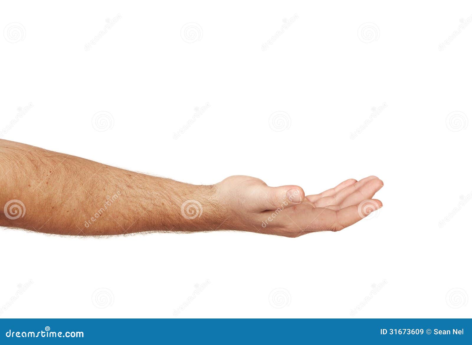 Ready to receive stock image. Image of receiving, isolated - 31673609