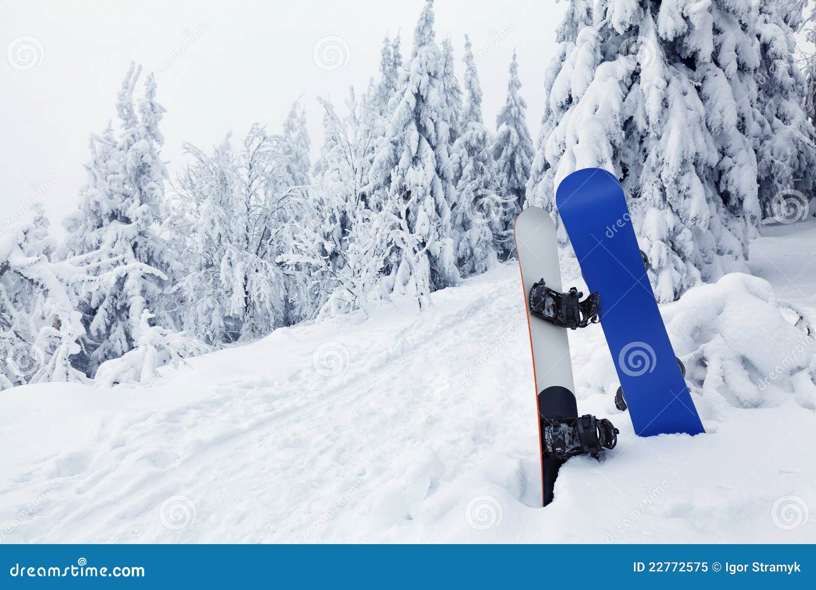 Ready to ride! stock image. Image of snow, white, beautiful - 22772575