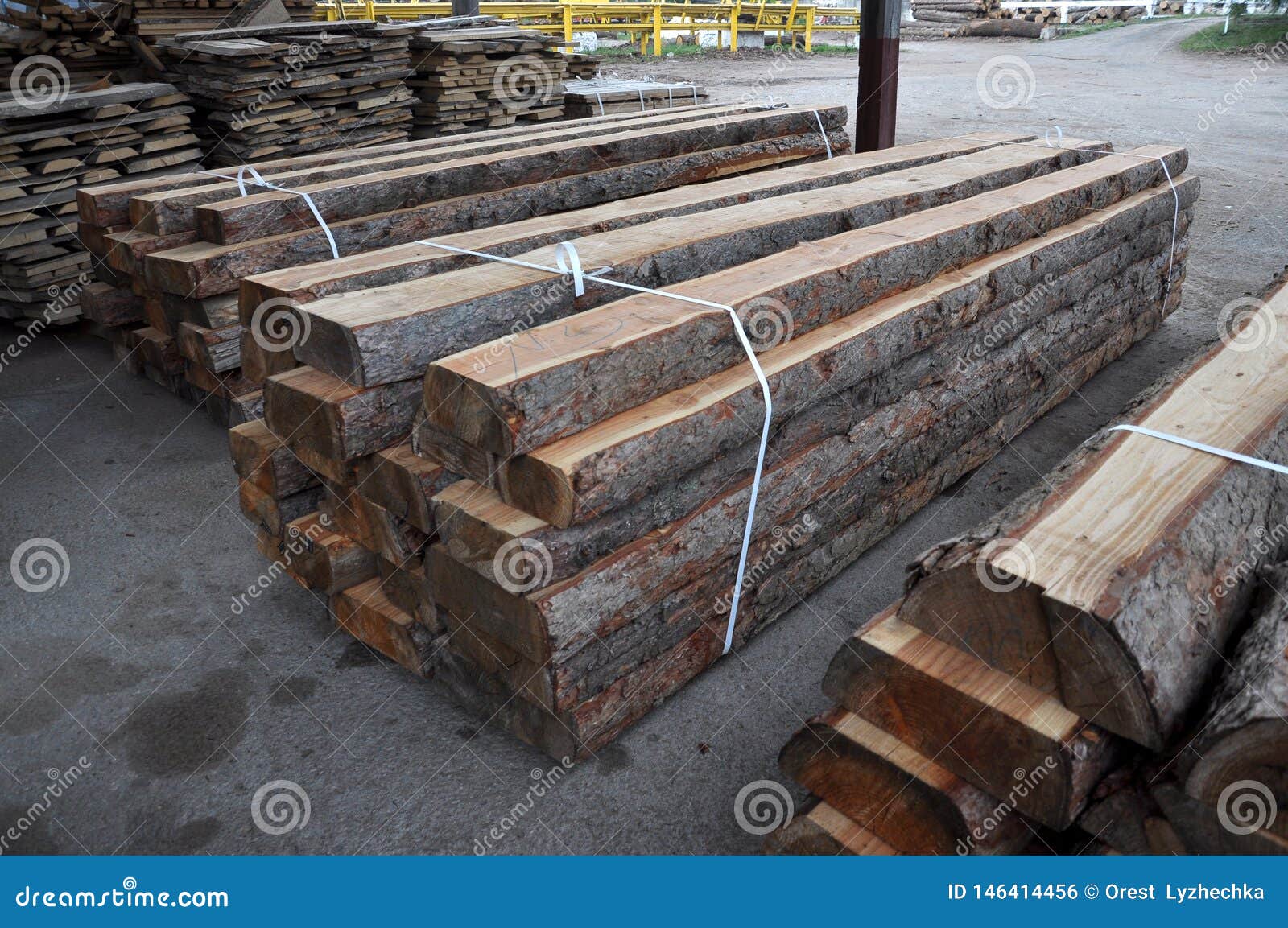 Lumber in the factory stock photo. Image of pine, material - 146414456