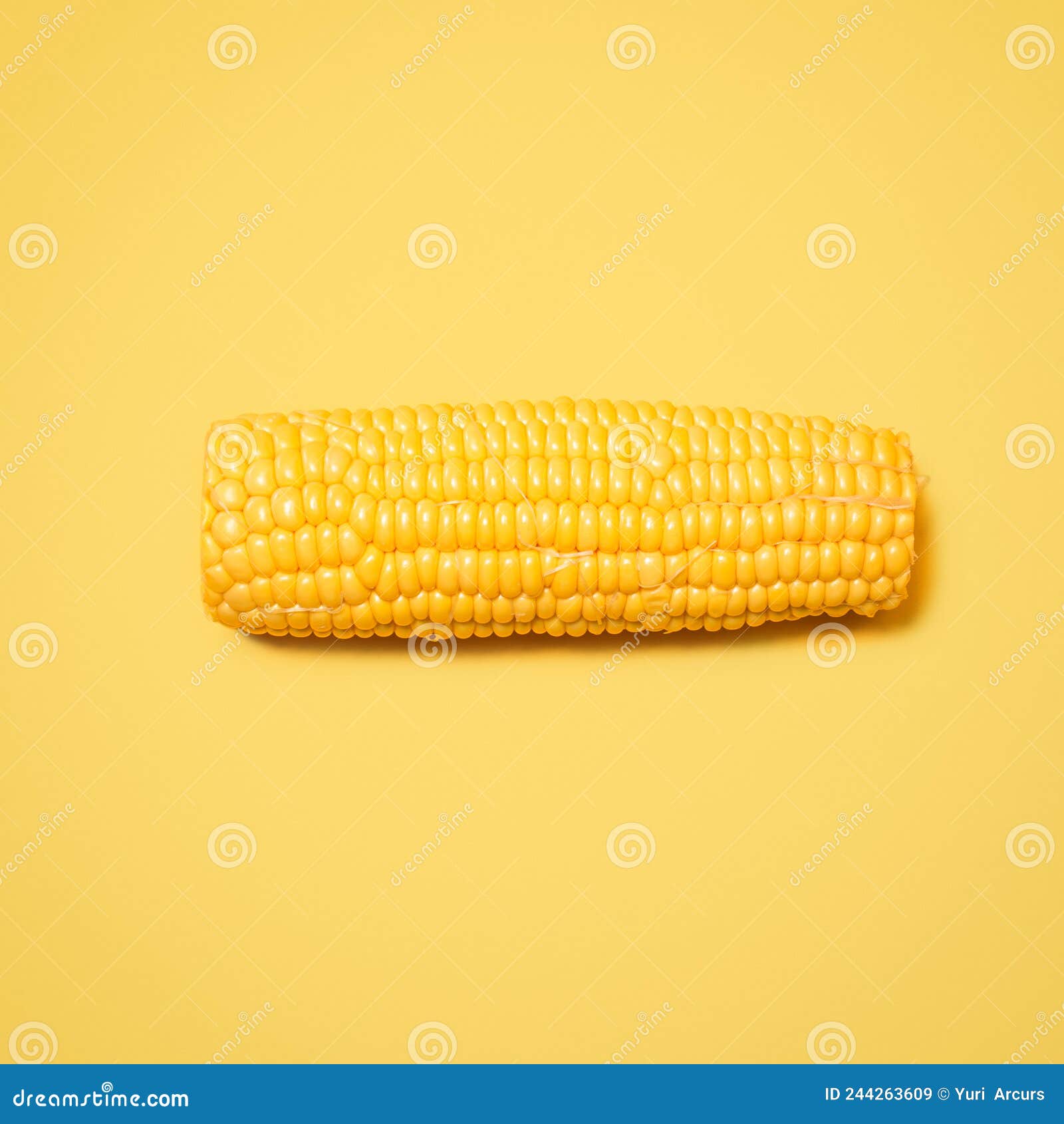 Ready To Sink Your Teeth into this. Shot of a Cob of Corn Against a ...