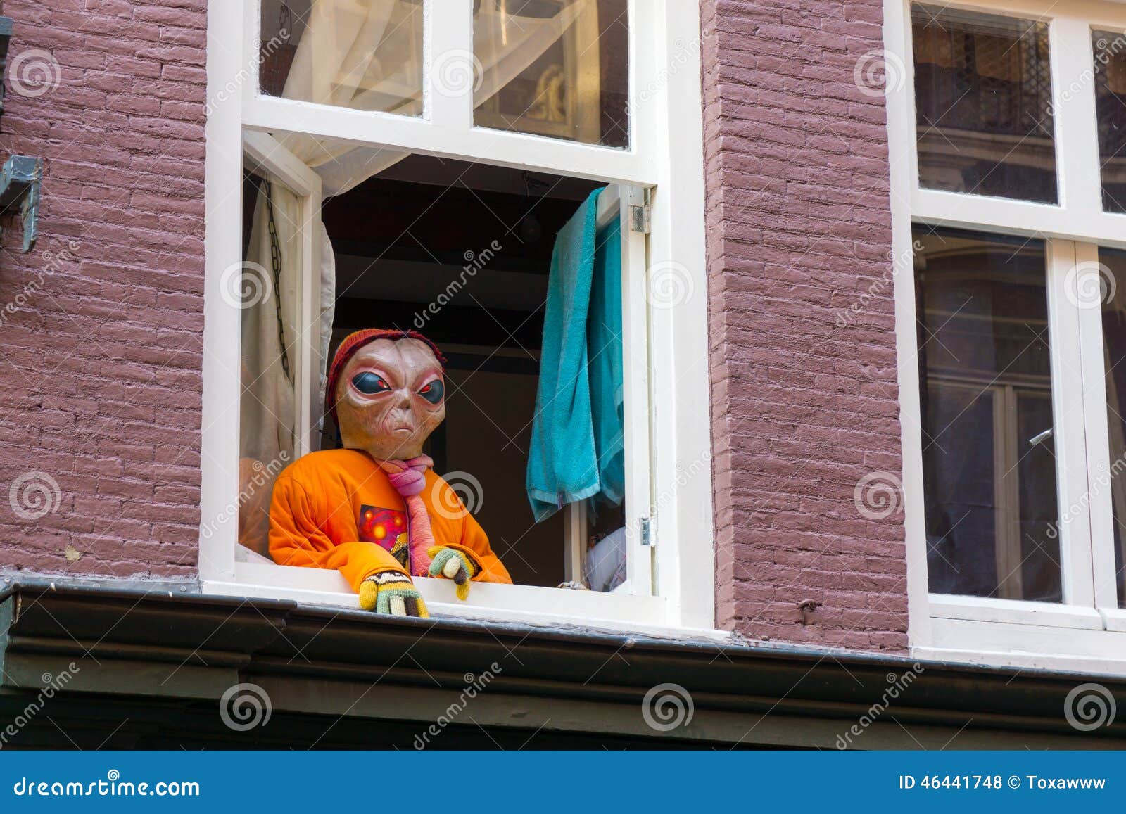 Real Alien in the window stock photo. Image of window - 46441748