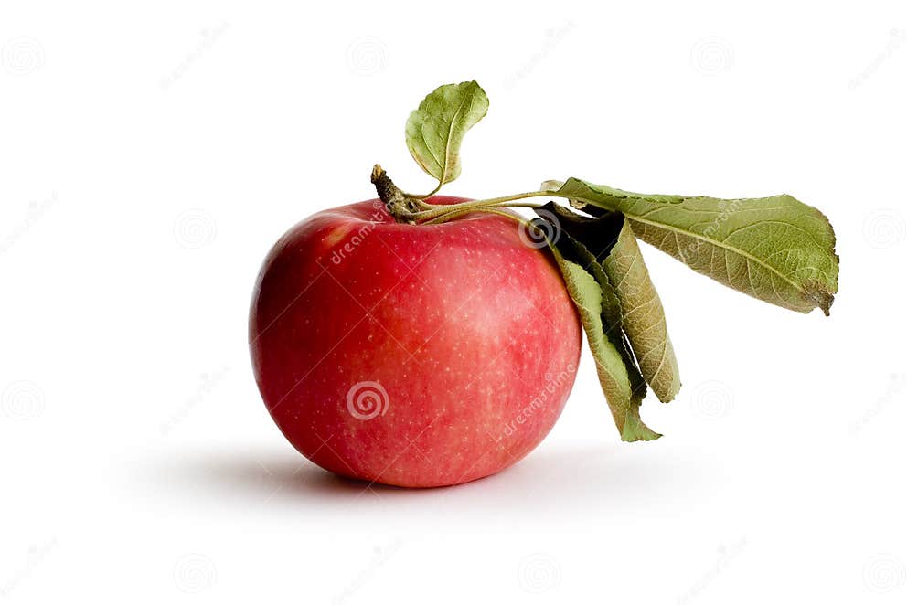 Real Apple stock image. Image of food, vibrant, healthy - 2911899