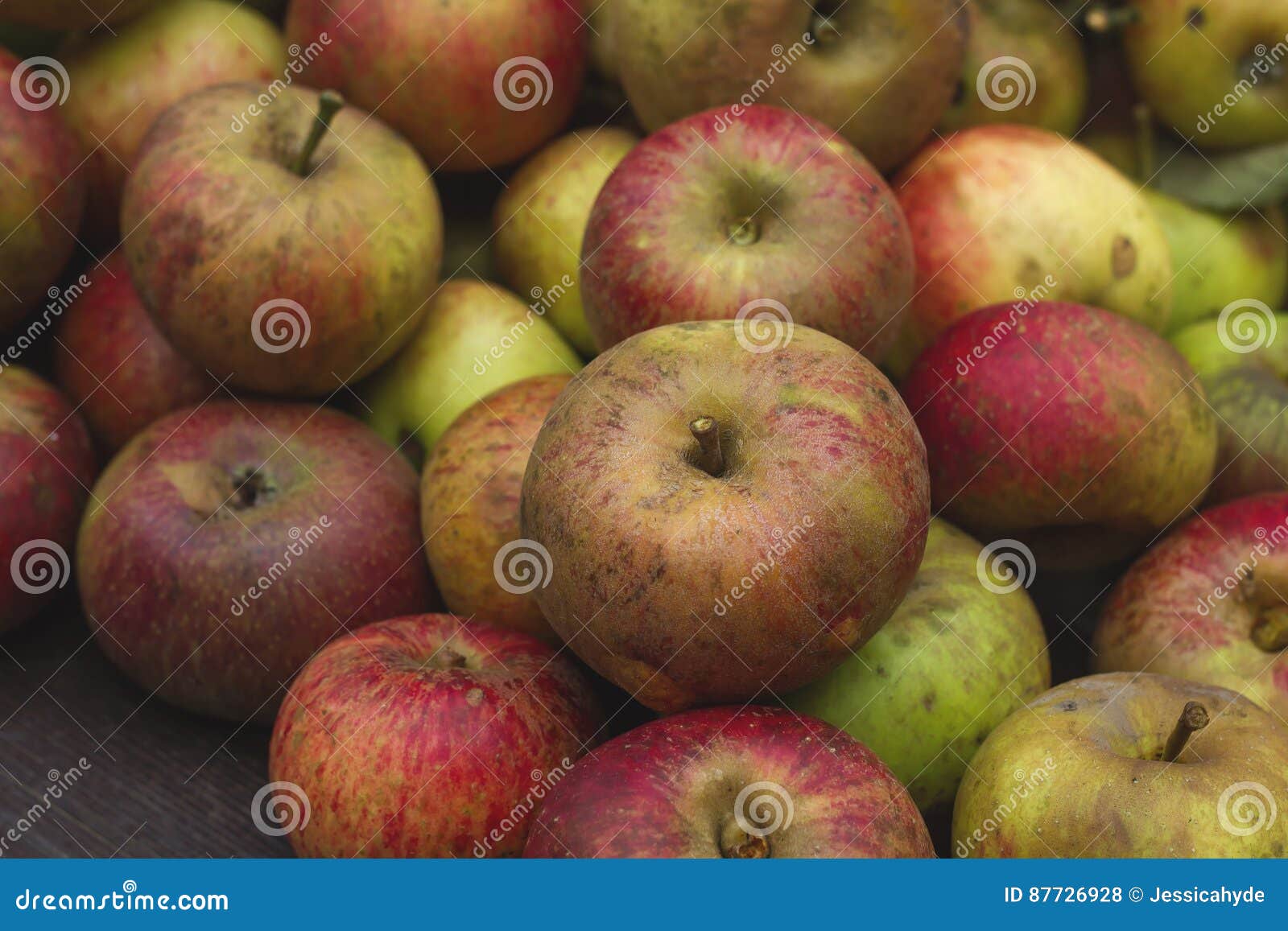 Real apples stock photo. Image of handpicked, green, dietary - 87726928
